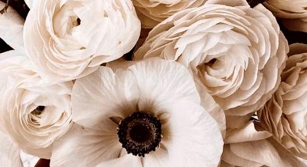 James Aumann and Amaiya Francom's Wedding Website