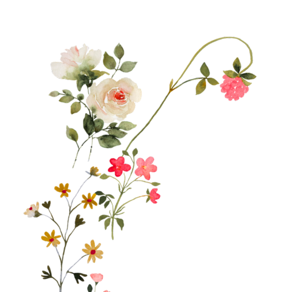 Camille Barker and Daihong Min's Wedding Website