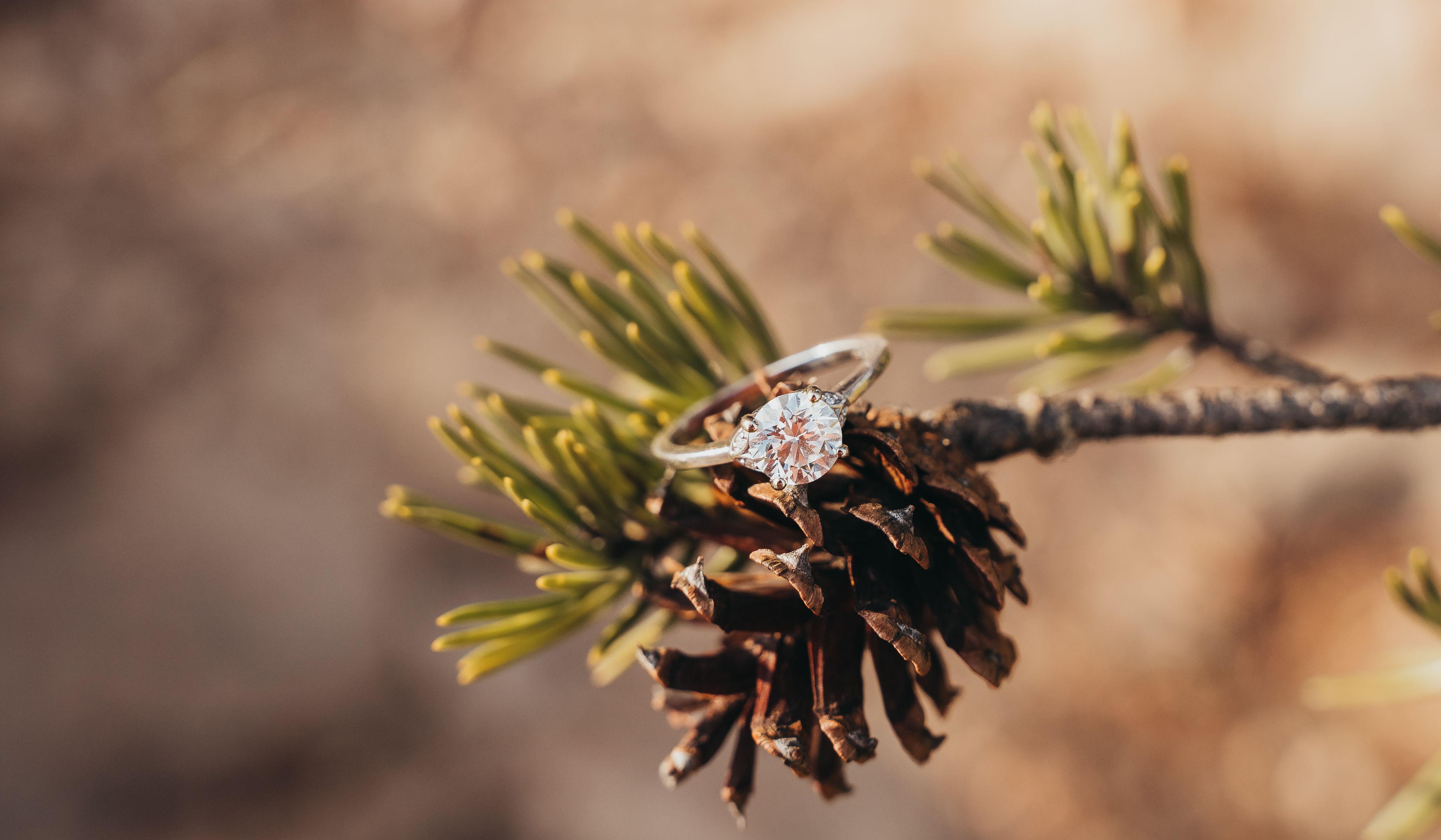 Rachel Blount and Bradley Simpkins' Wedding Website