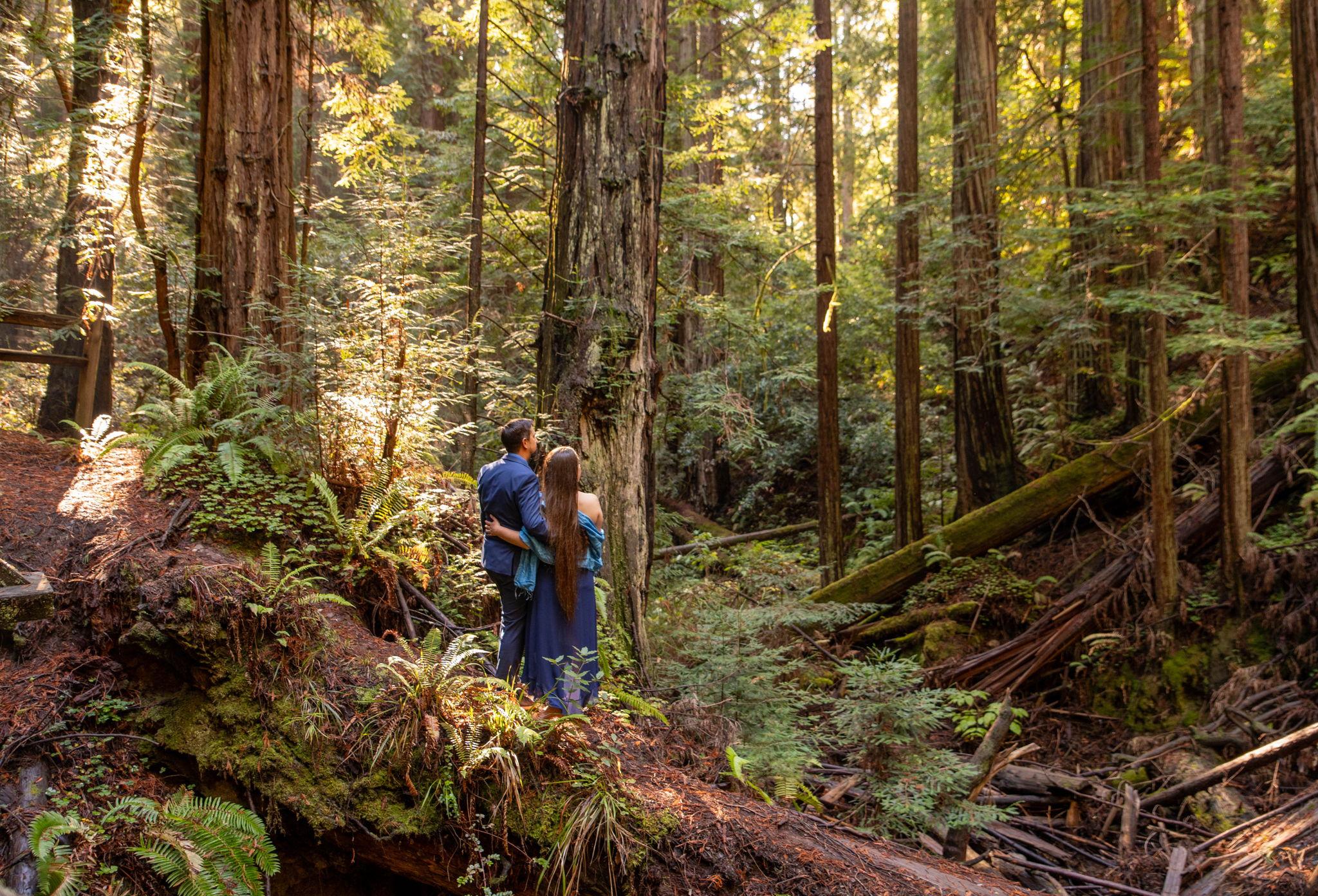 Rob Schultze and Lauren Baines' Wedding Website