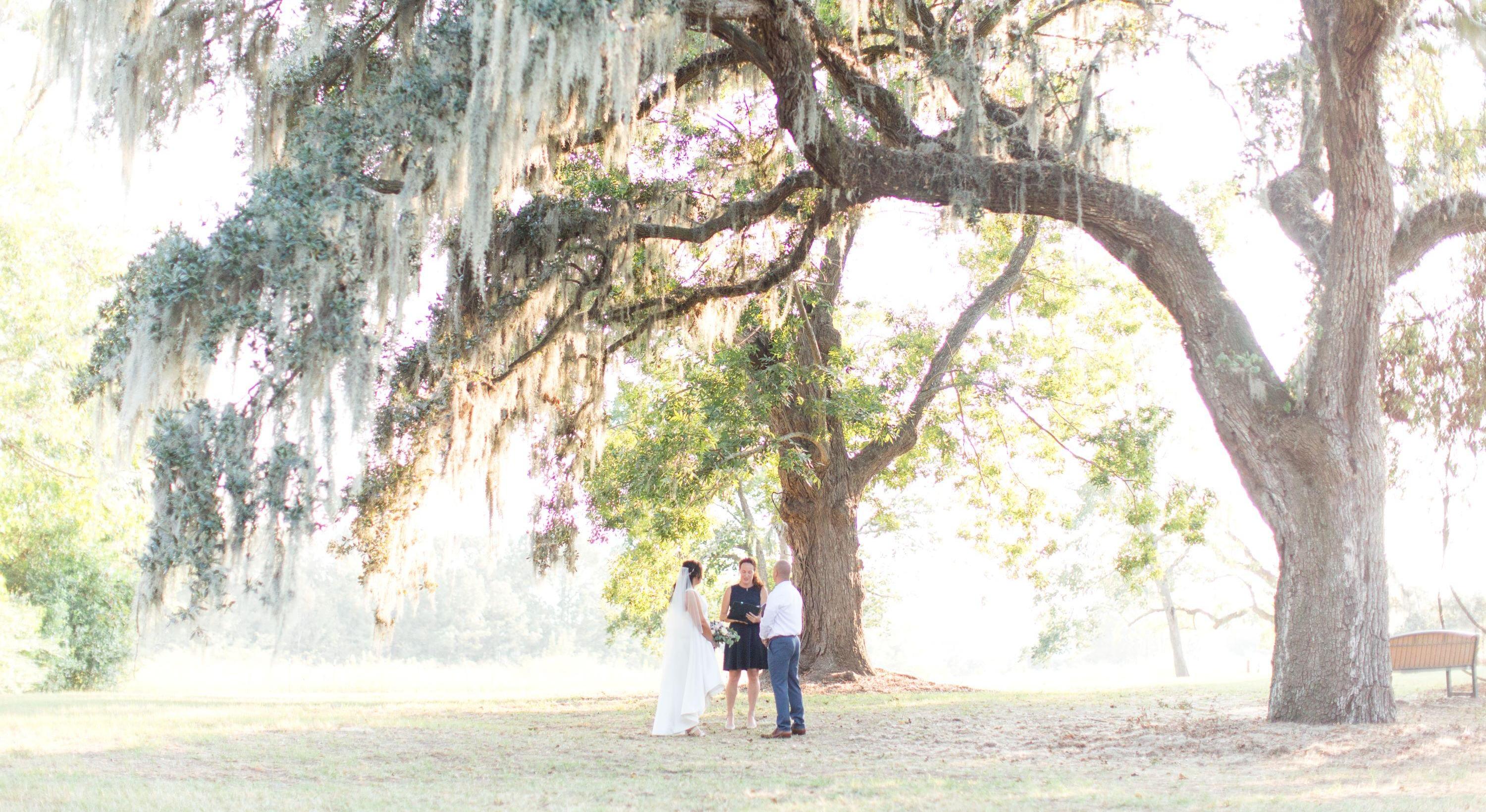 Michelle Gallo and Jason McKinlay's Wedding Website