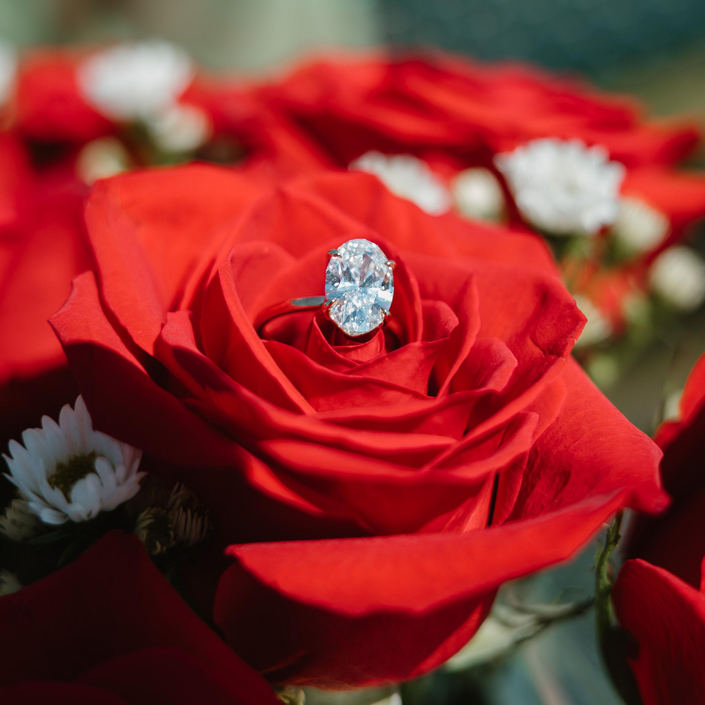 Carolina Palumbo and Alan Cho's Wedding Website