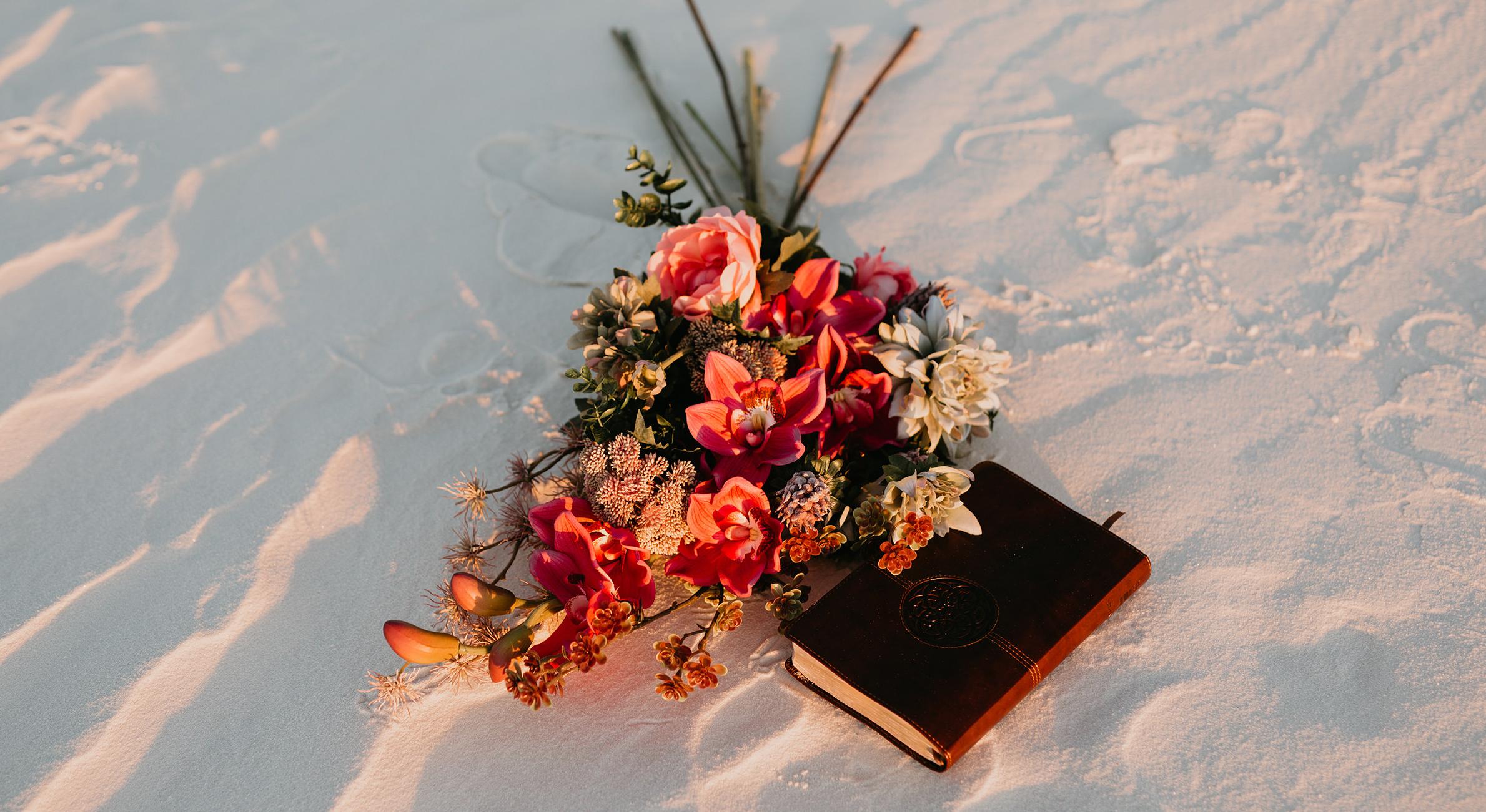 Dezorey Vahed and Christopher Arocha's Wedding Website