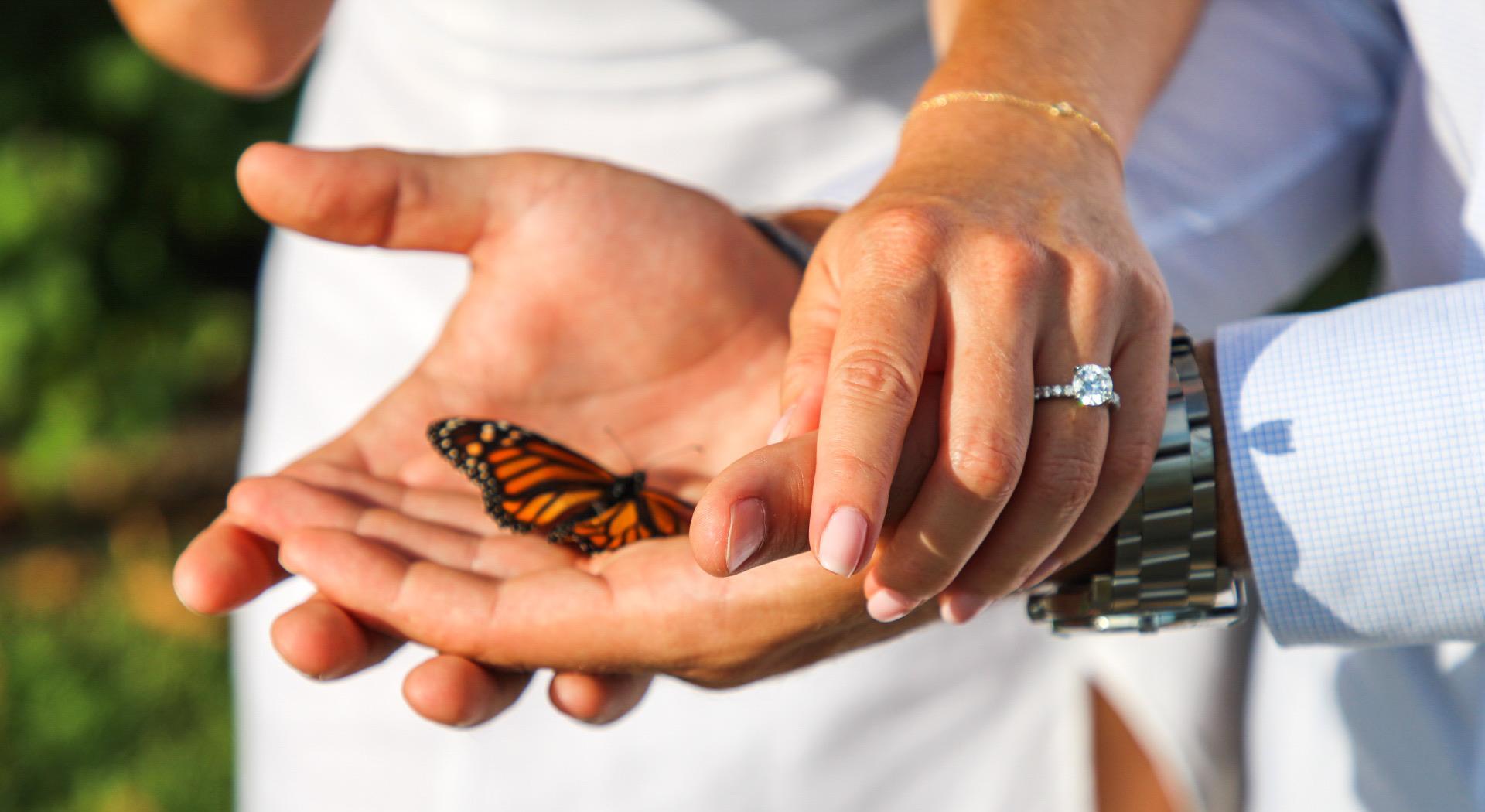 Lexi Hicks and Luke DeSimone's Wedding Website