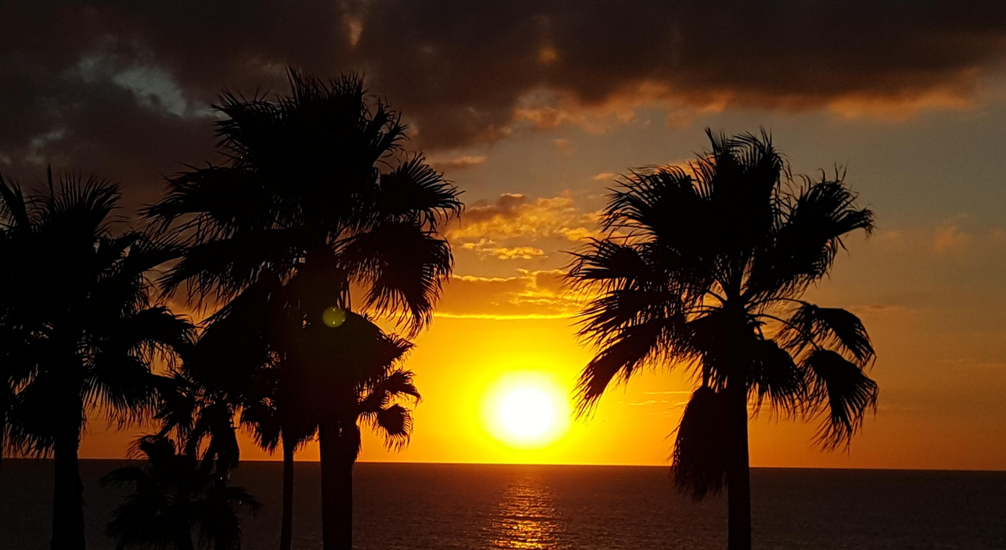 Annie O'Connor and Jerry Edmiston's Wedding Website