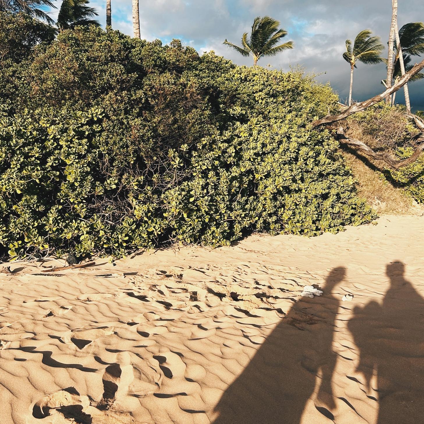 Emily Holbrook and Cameron Duncan's Wedding Website