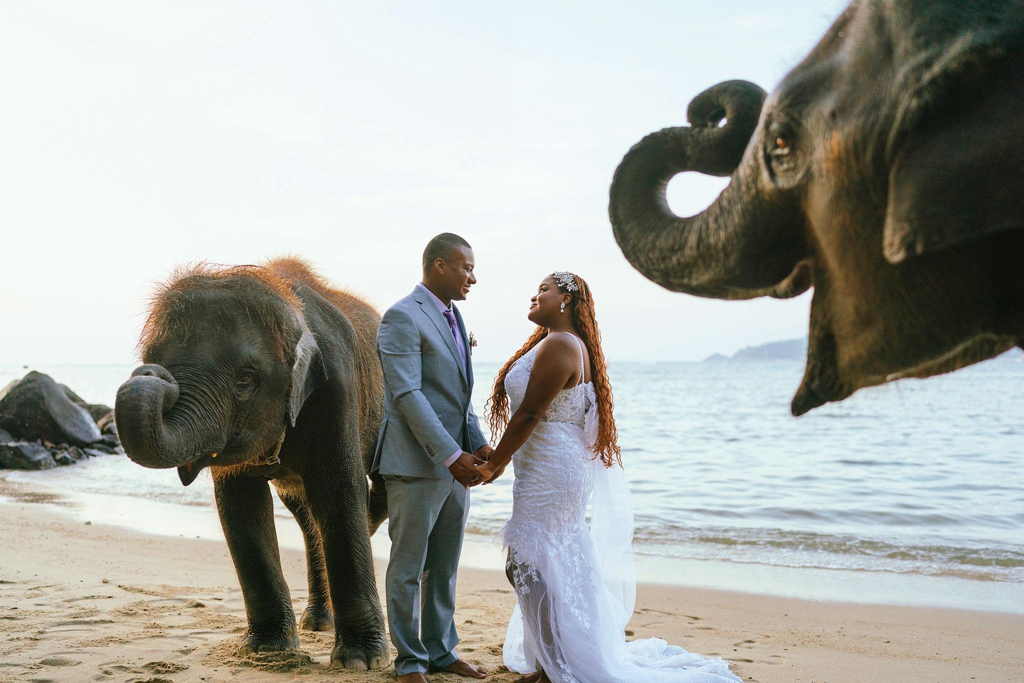 Avril Gaines and Devin Gaines' Wedding Website