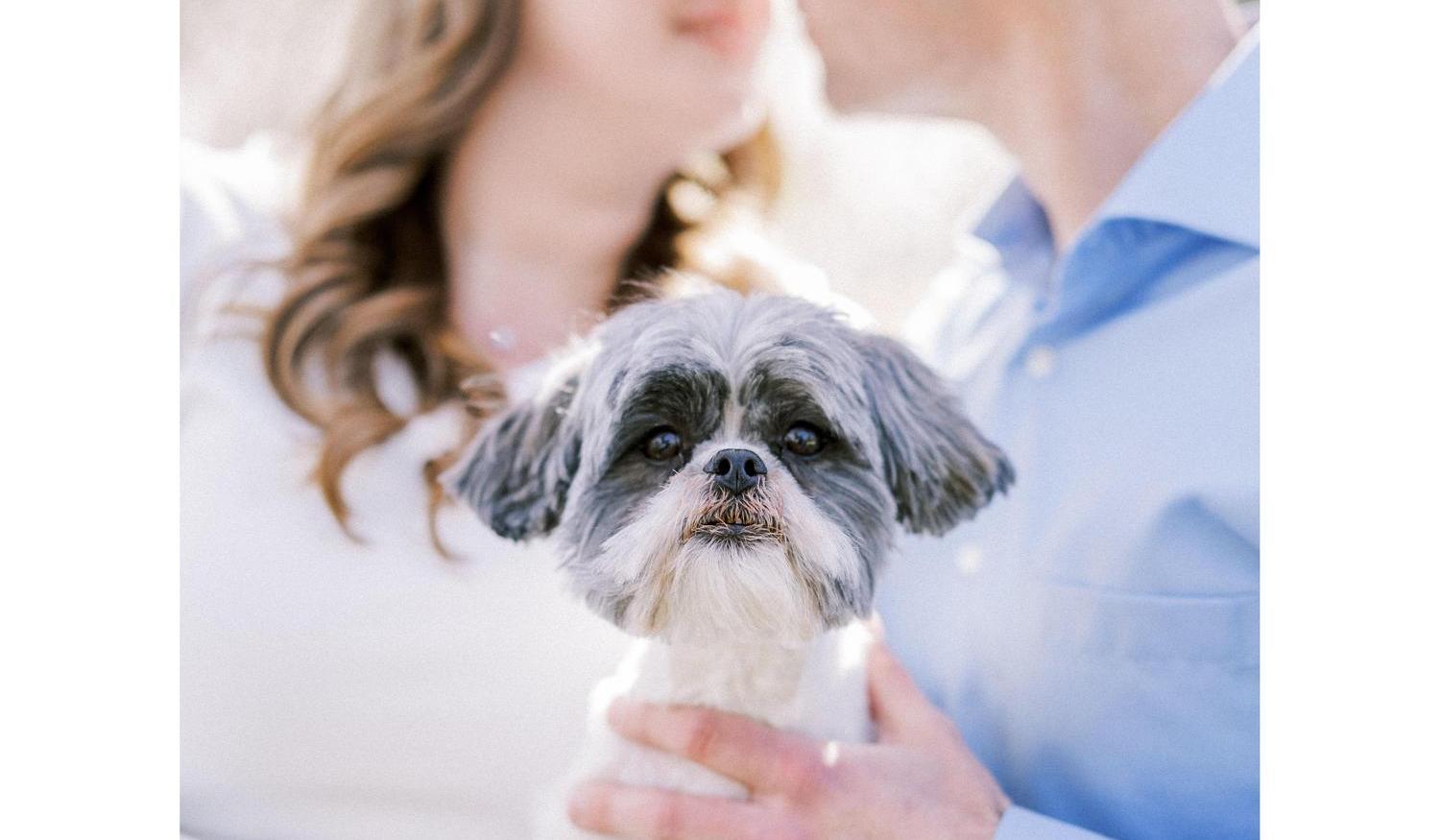 Madison Trachsel and Chris Fogle's Wedding Website