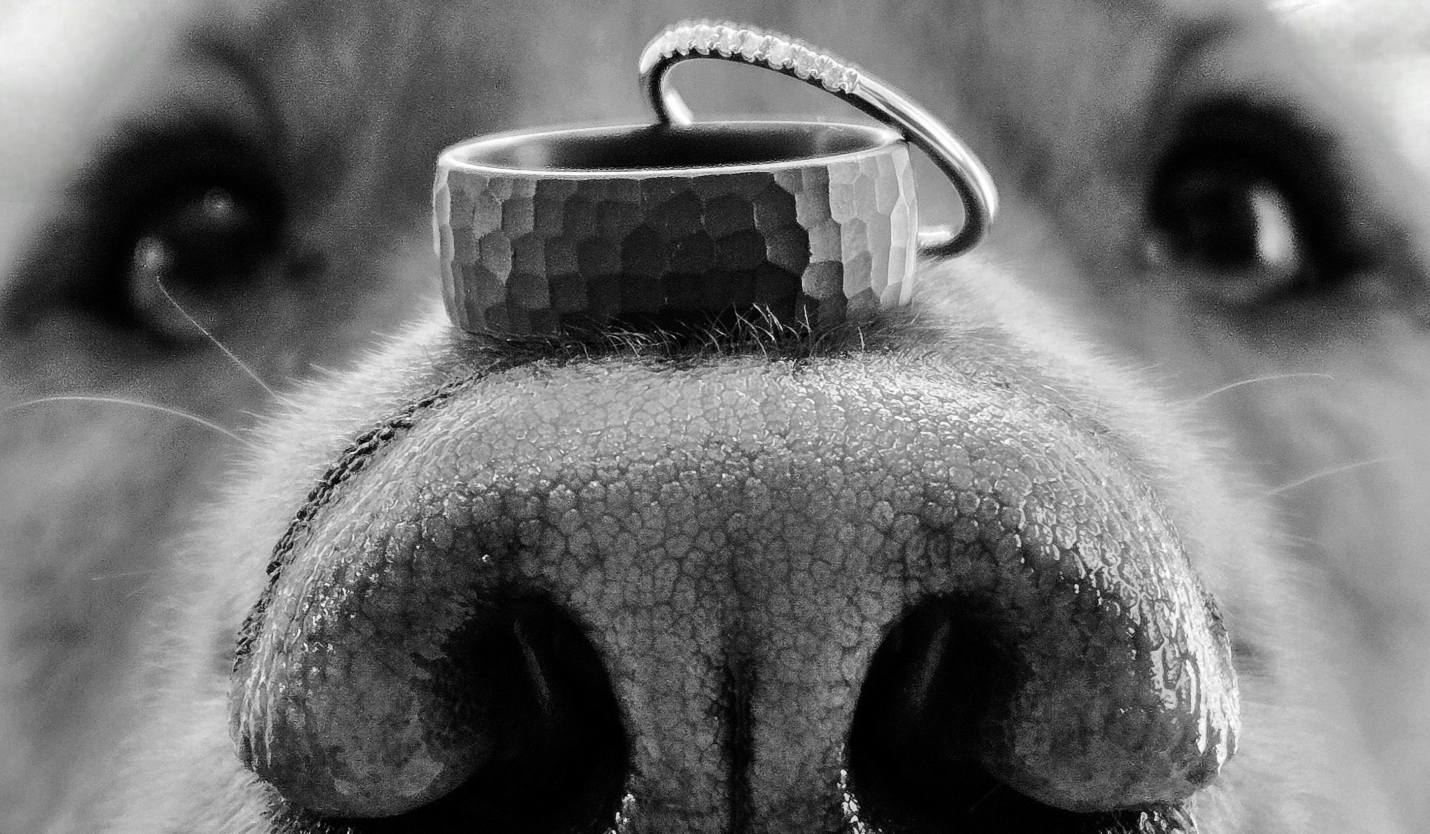 Michael Andrew Seaver and Tawny Belle Manning's Wedding Website