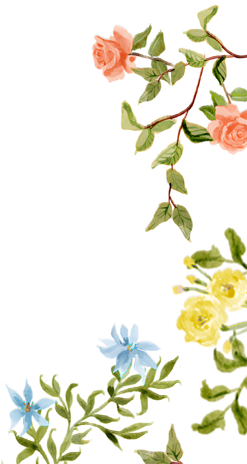 Michael Pedota and Devon Grube's Wedding Website