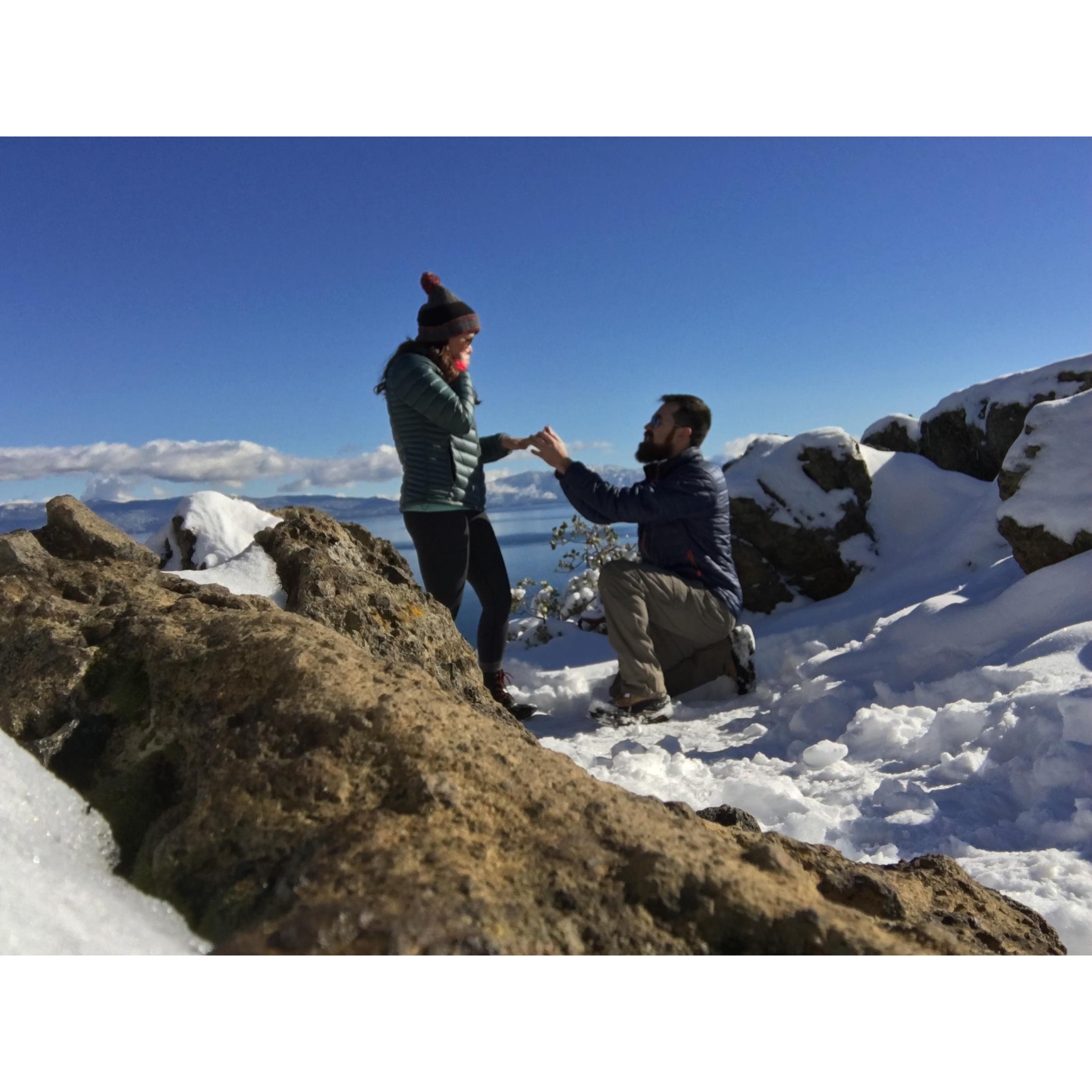 Brynne Edwards and Alex Cavalari's Wedding Website