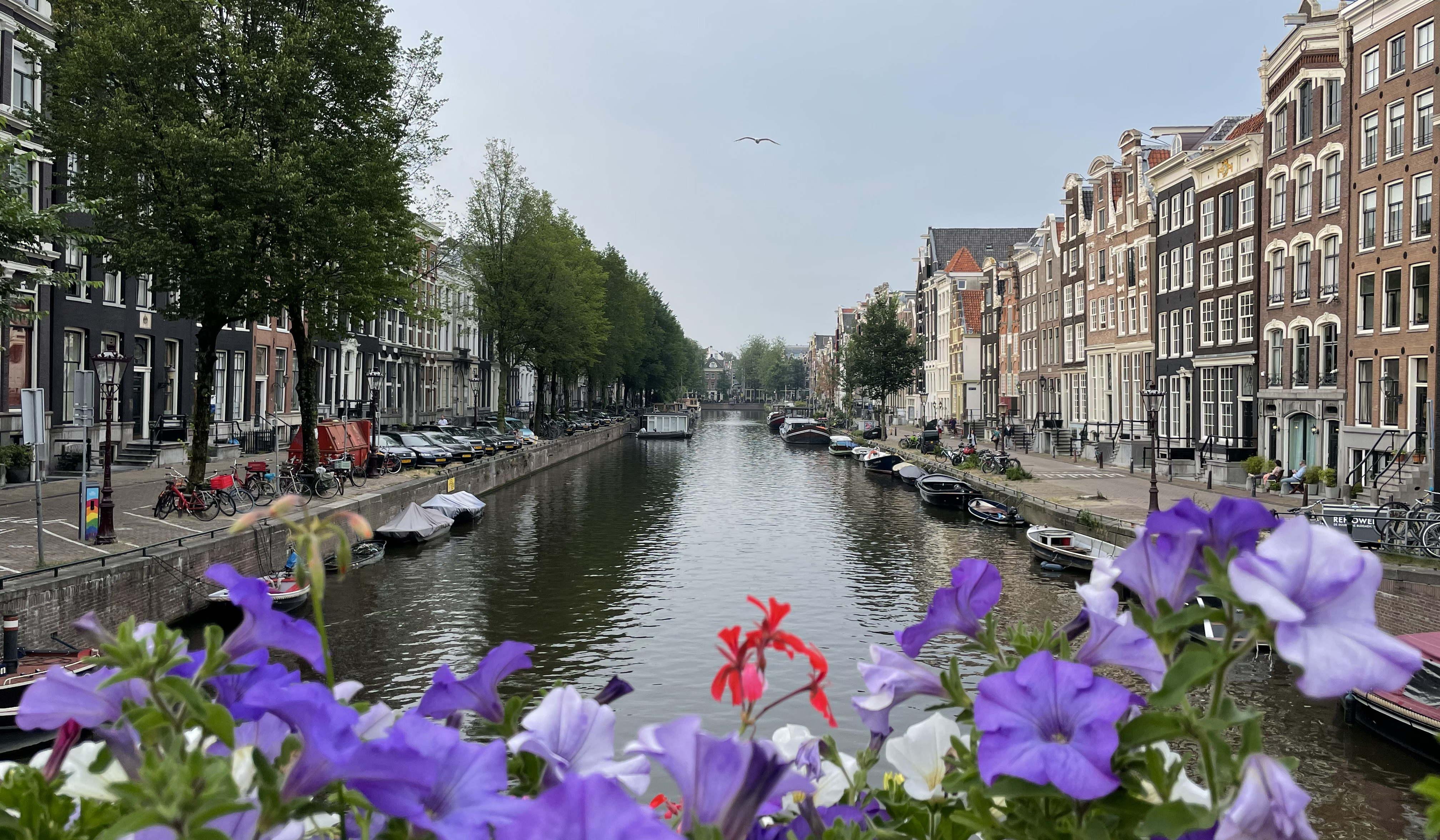 Madeline Bender and Ryan Cofer's Wedding Website