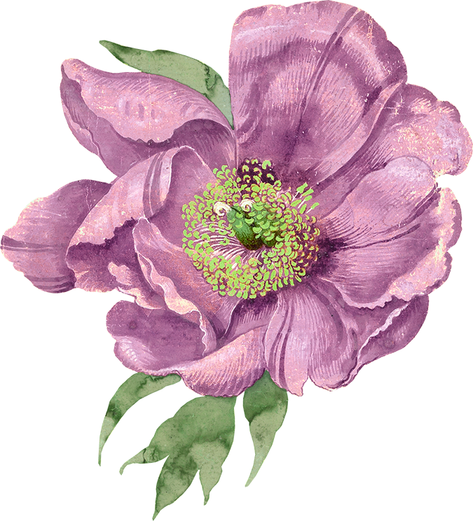 Natalie Witkowski and Ryan Rodriguez's Wedding Website