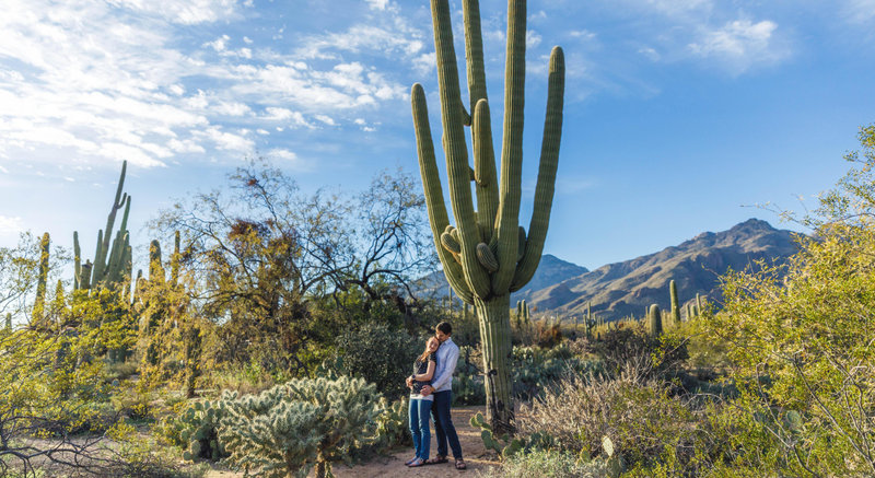 Christy Harrison and Joshua Clutter's Wedding Website