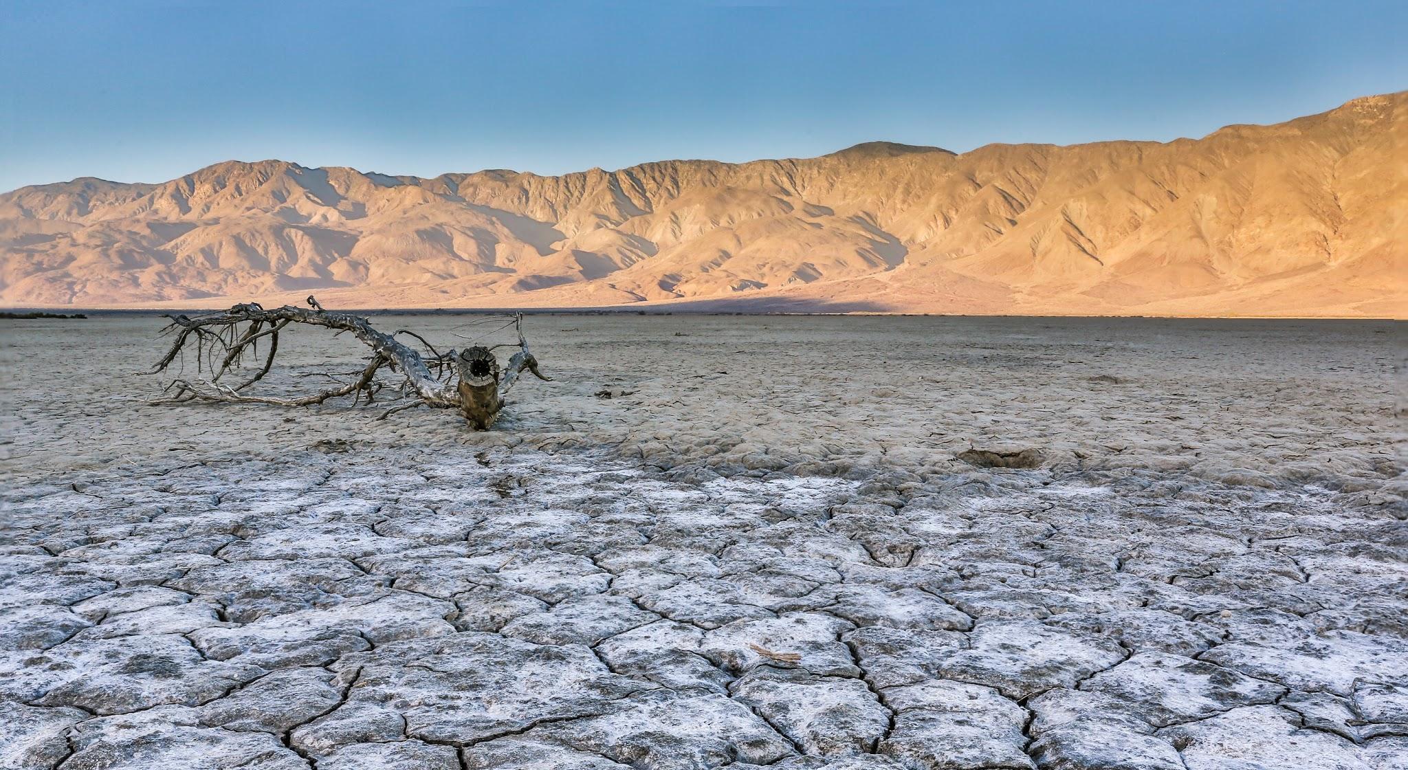 Melissa Gulick and Jonathan Wenger's Wedding Website