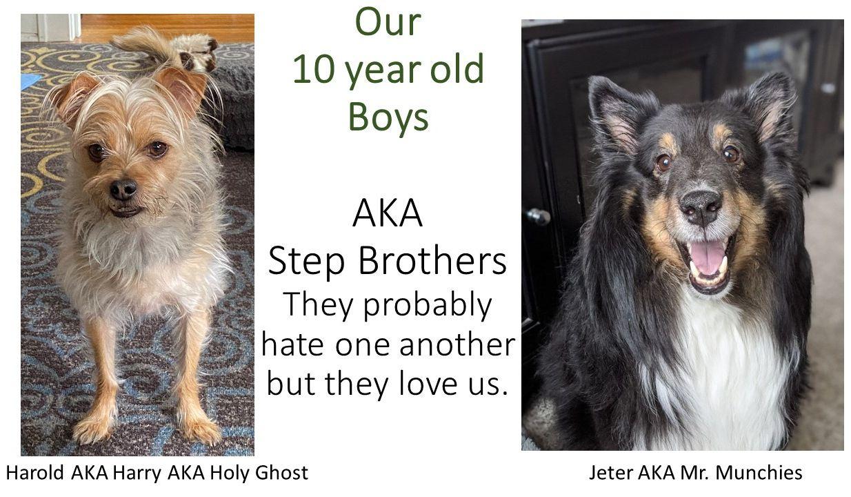 Michael Jillisky and Kathryn Rainsburg's Wedding Website