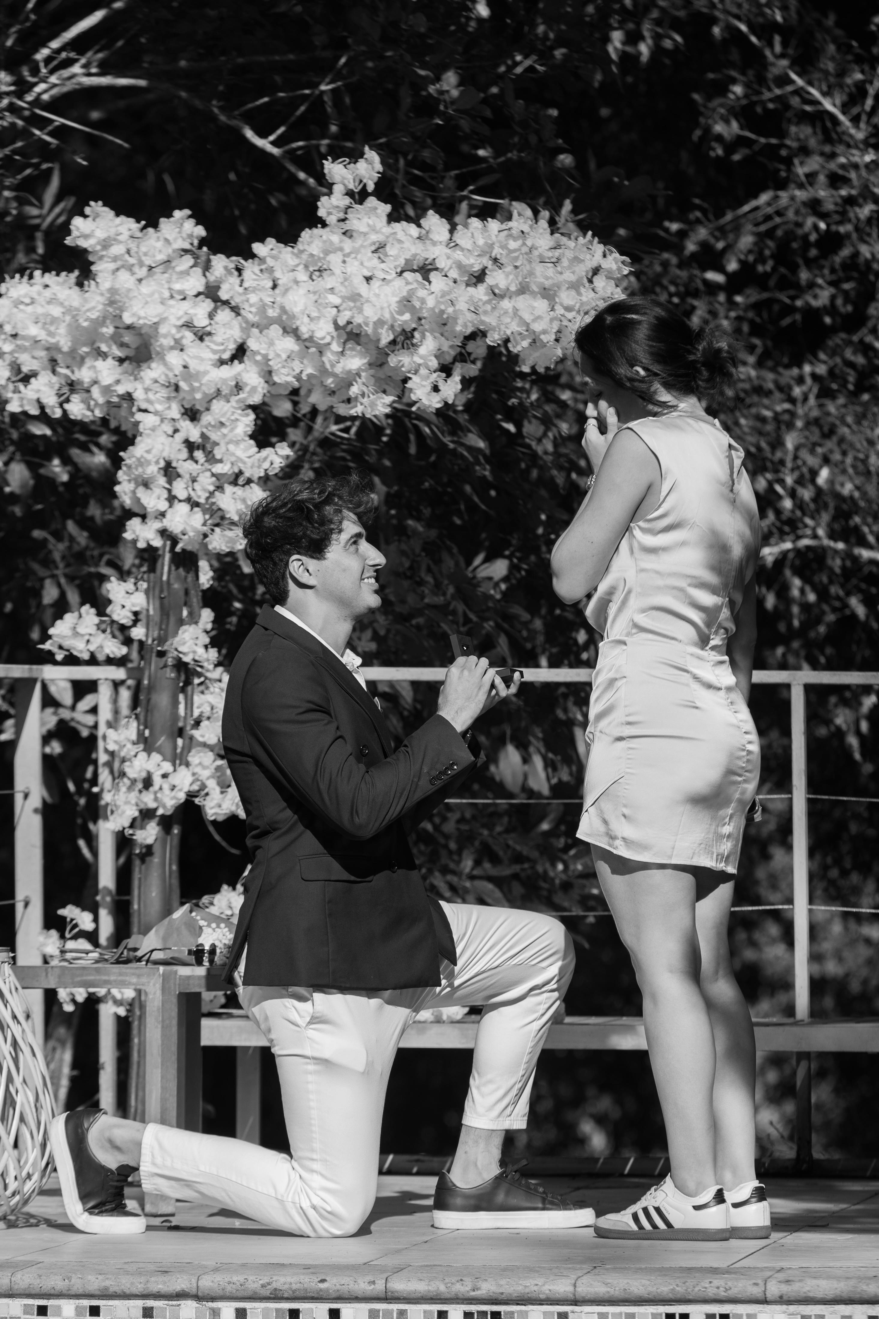 Ana Cristina Gil Rodriguez and Emmanuel Alfonso Diaz Velez's Wedding Website