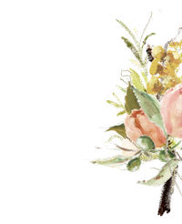 Rebekah Fear And F Nickolas Castillo s Wedding Website
