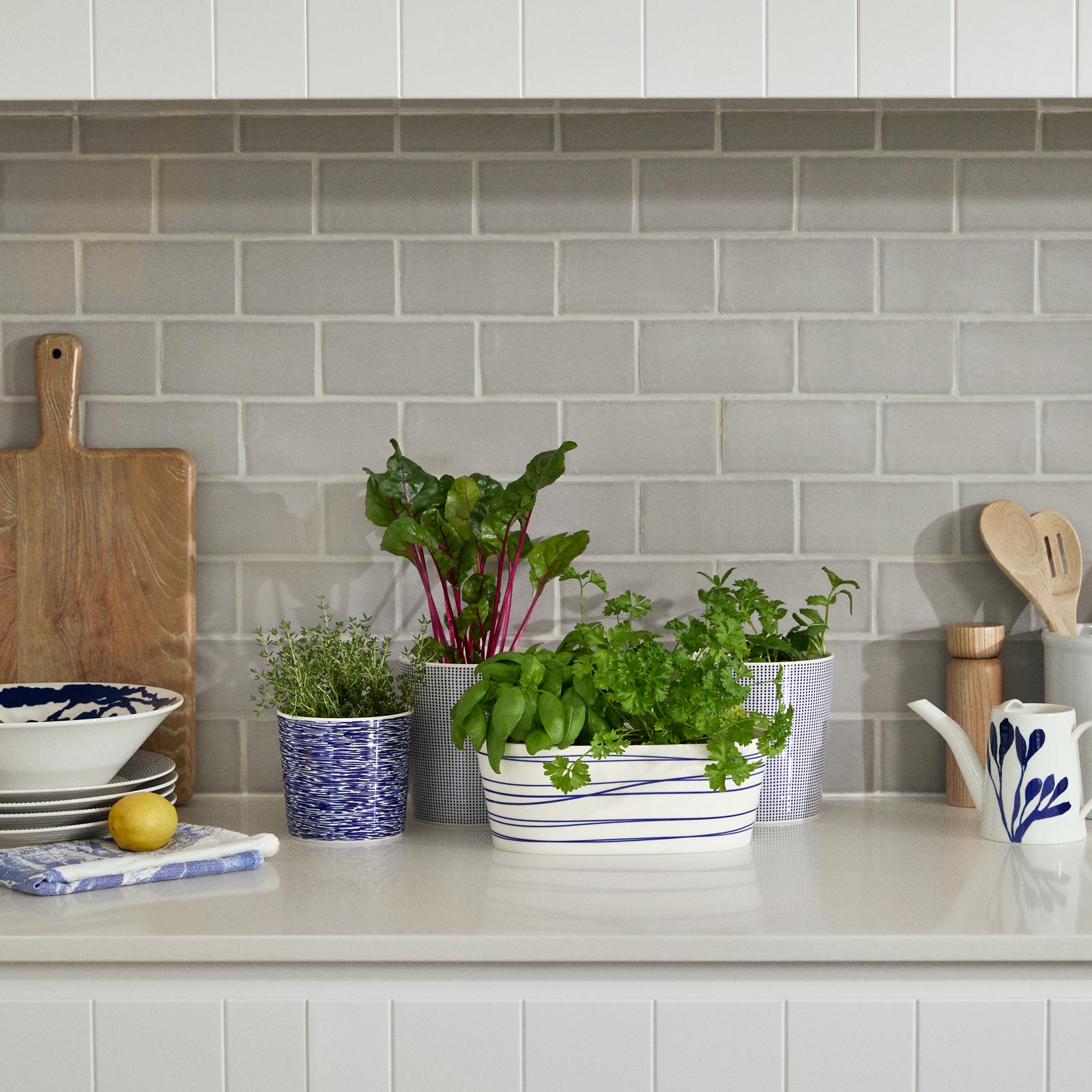 Royal Doulton, Pacific Trough Planter | Zola