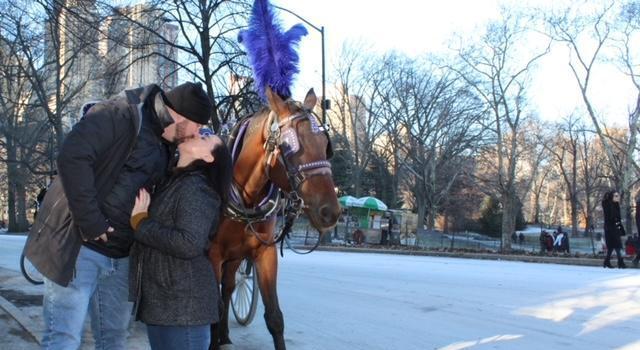 Stephanie Mandara and Scott Finkelstein's Wedding Website