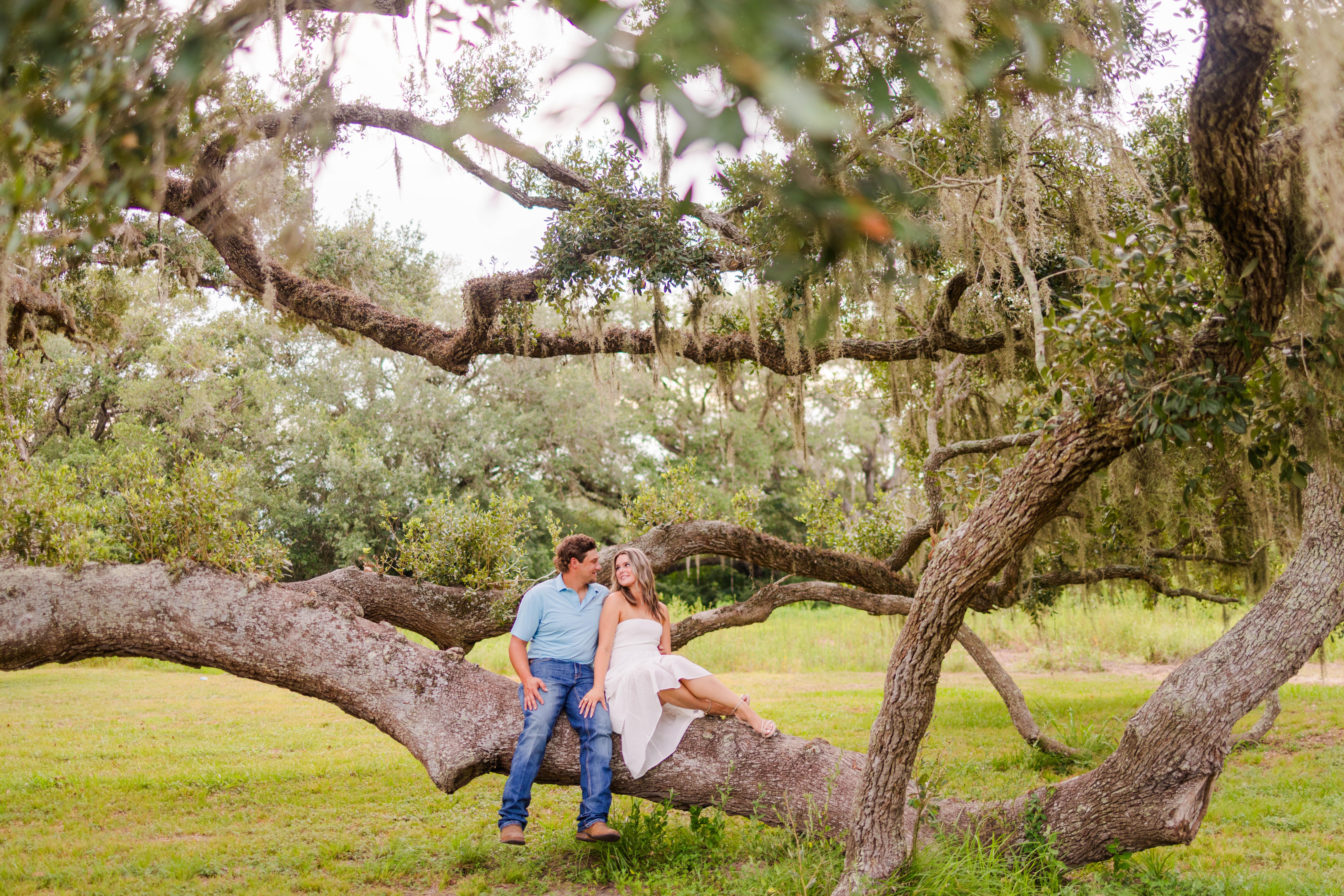 Ashley Lane and Tyler Warren's Wedding Website
