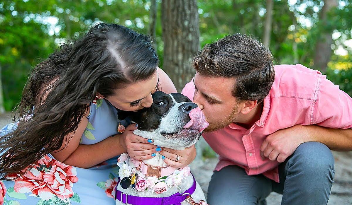 Grace Scholefield and Ryan Swindell's Wedding Website