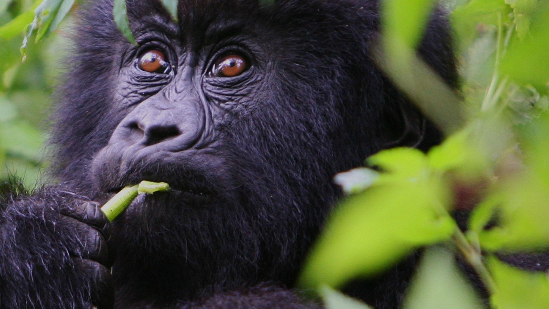 Chelsea Gabrielle and Martin Roe's Wedding Website