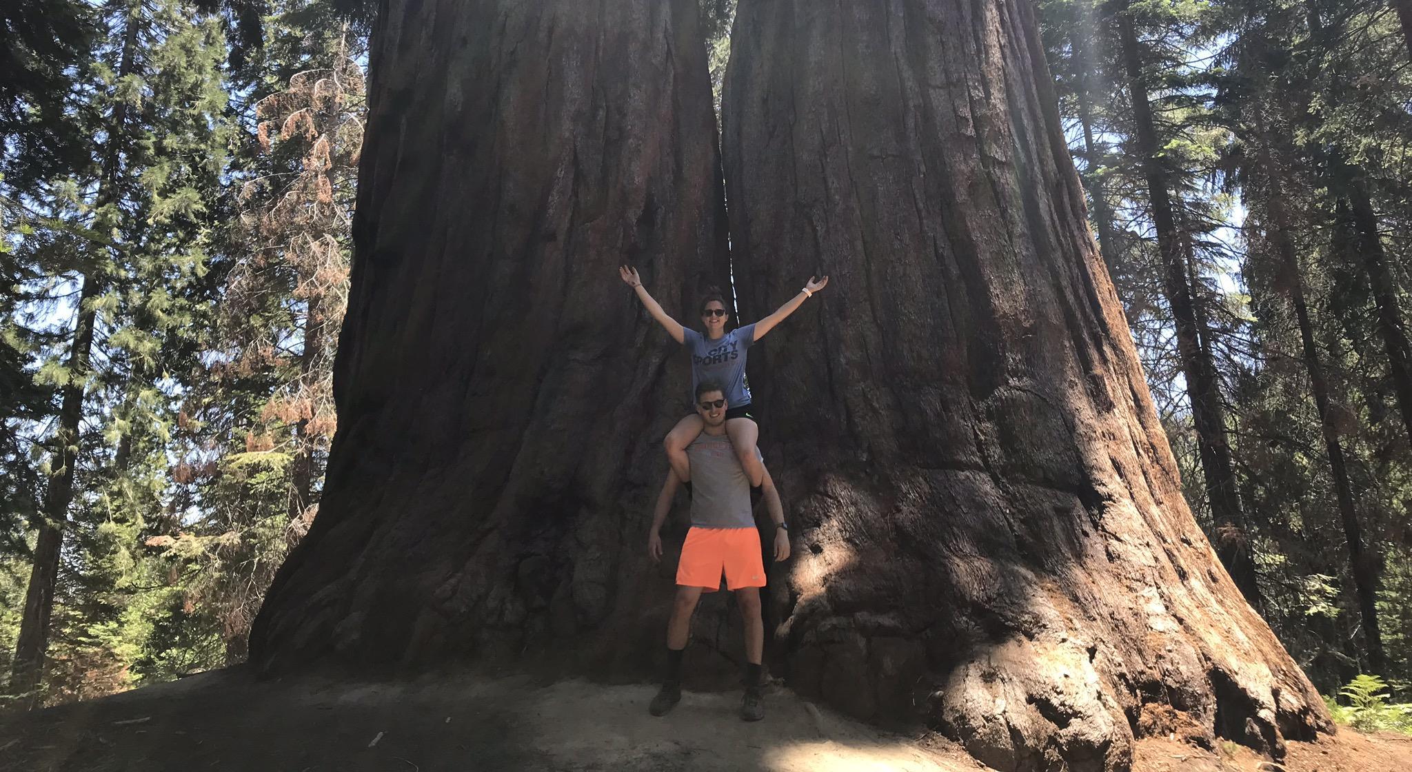 Hannah Moskowitz and Jordan Volpe's Wedding Website