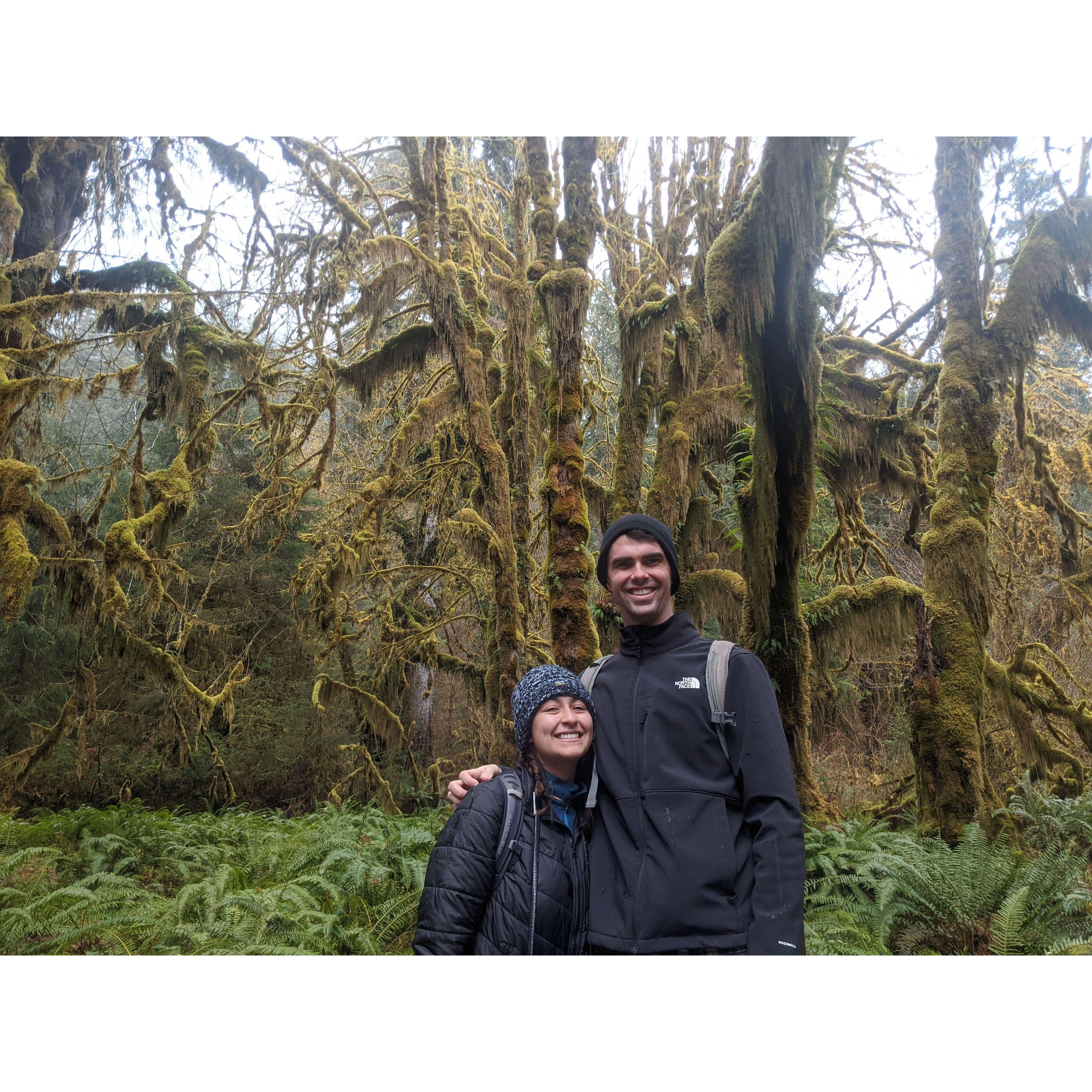 Marisa Alfaro and Sean Smith's Wedding Website