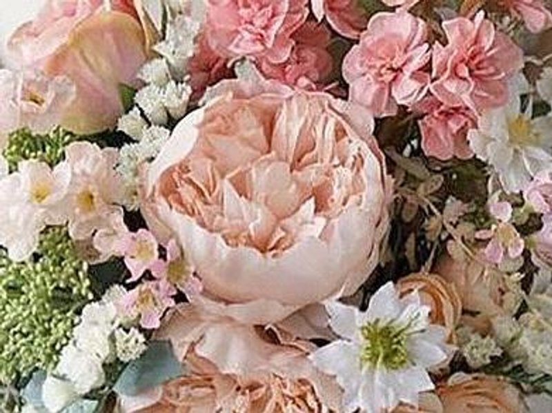 Molly Barnett and Darren Melton's Wedding Website