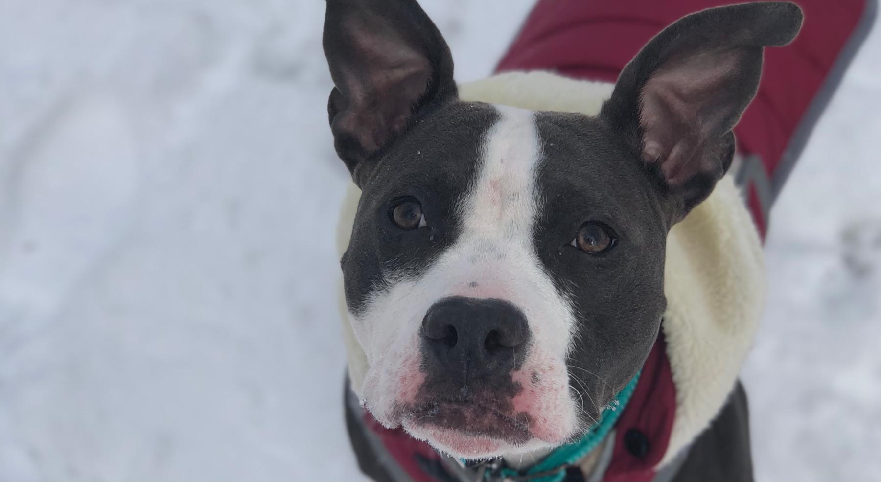 Krista Casperson and Rushton Loring's Wedding Website