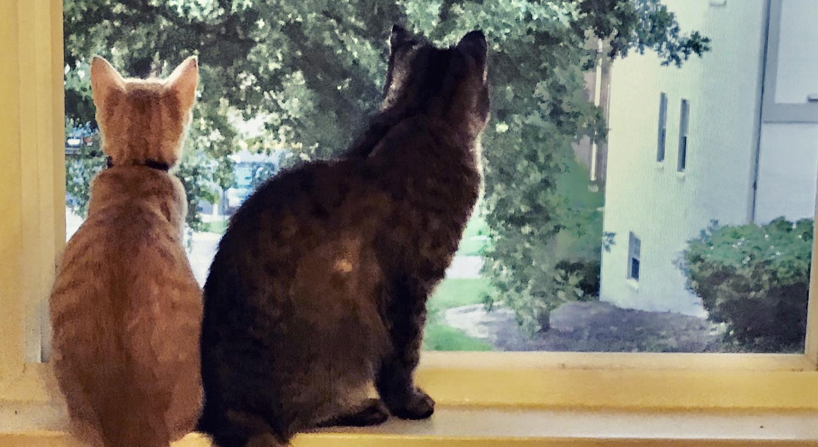 Alex Liddell and Jenna Zink's Wedding Website