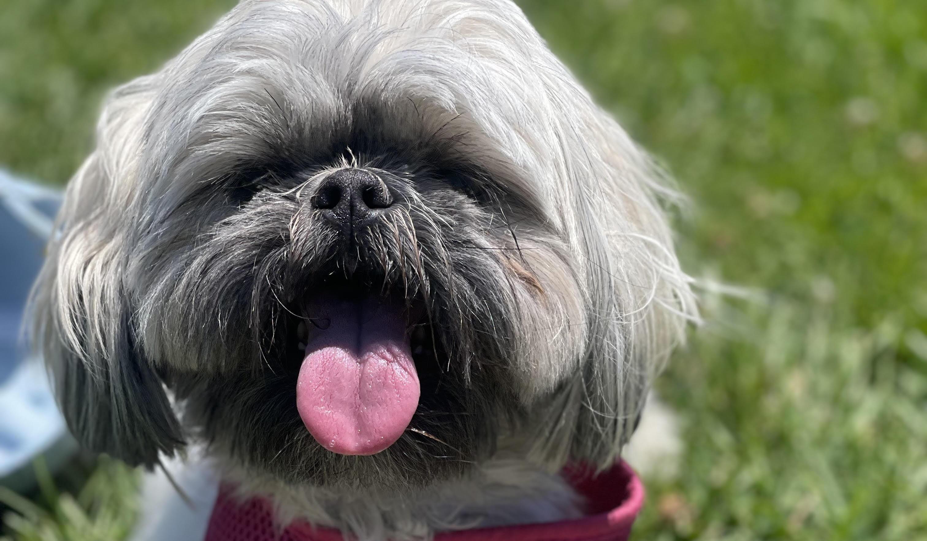 Cat Weiss and Christina Estimé's Wedding Website