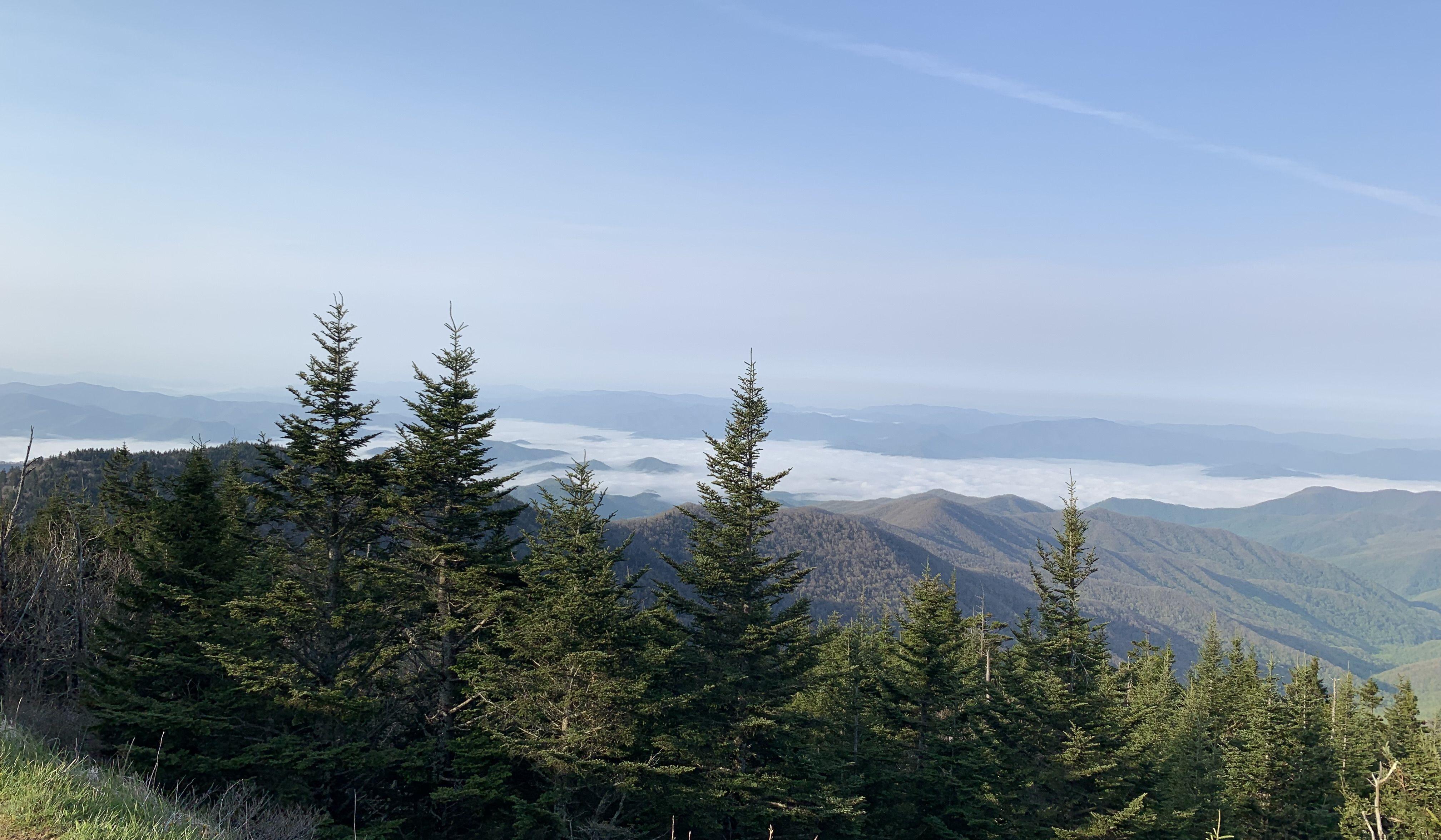 Kimberly Cutshall and Justin Sabo's Wedding Website