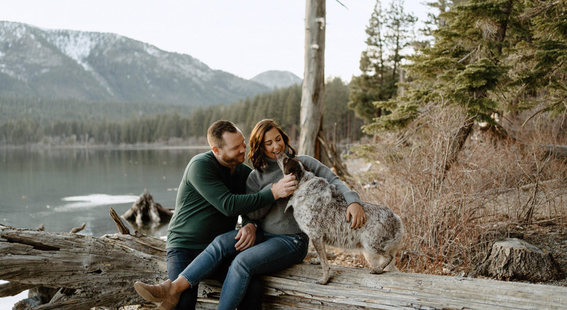 Misha Case and Greg Dupree's Wedding Website