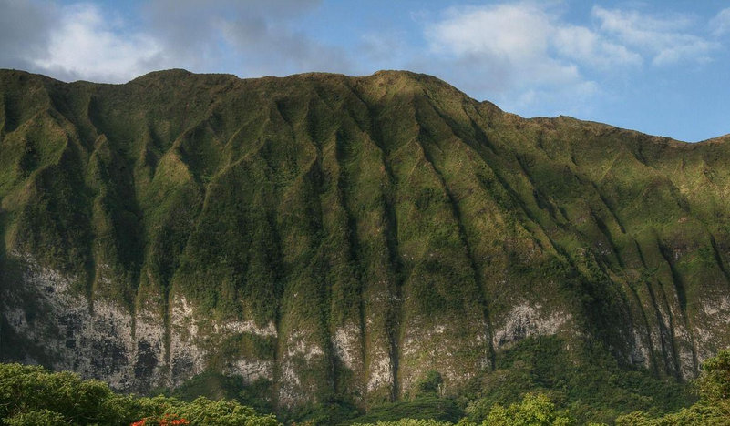 Caitlin Tynanes and Logan Viliamu's Wedding Website