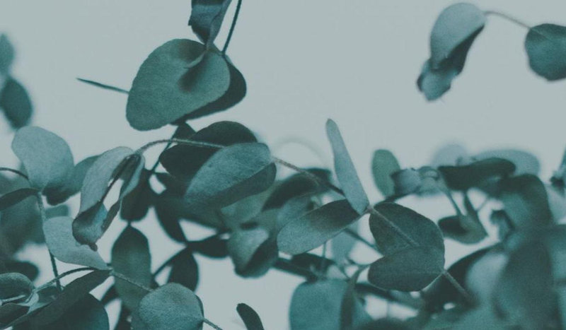 Whitney Beachler and Matthew Bowers' Wedding Website