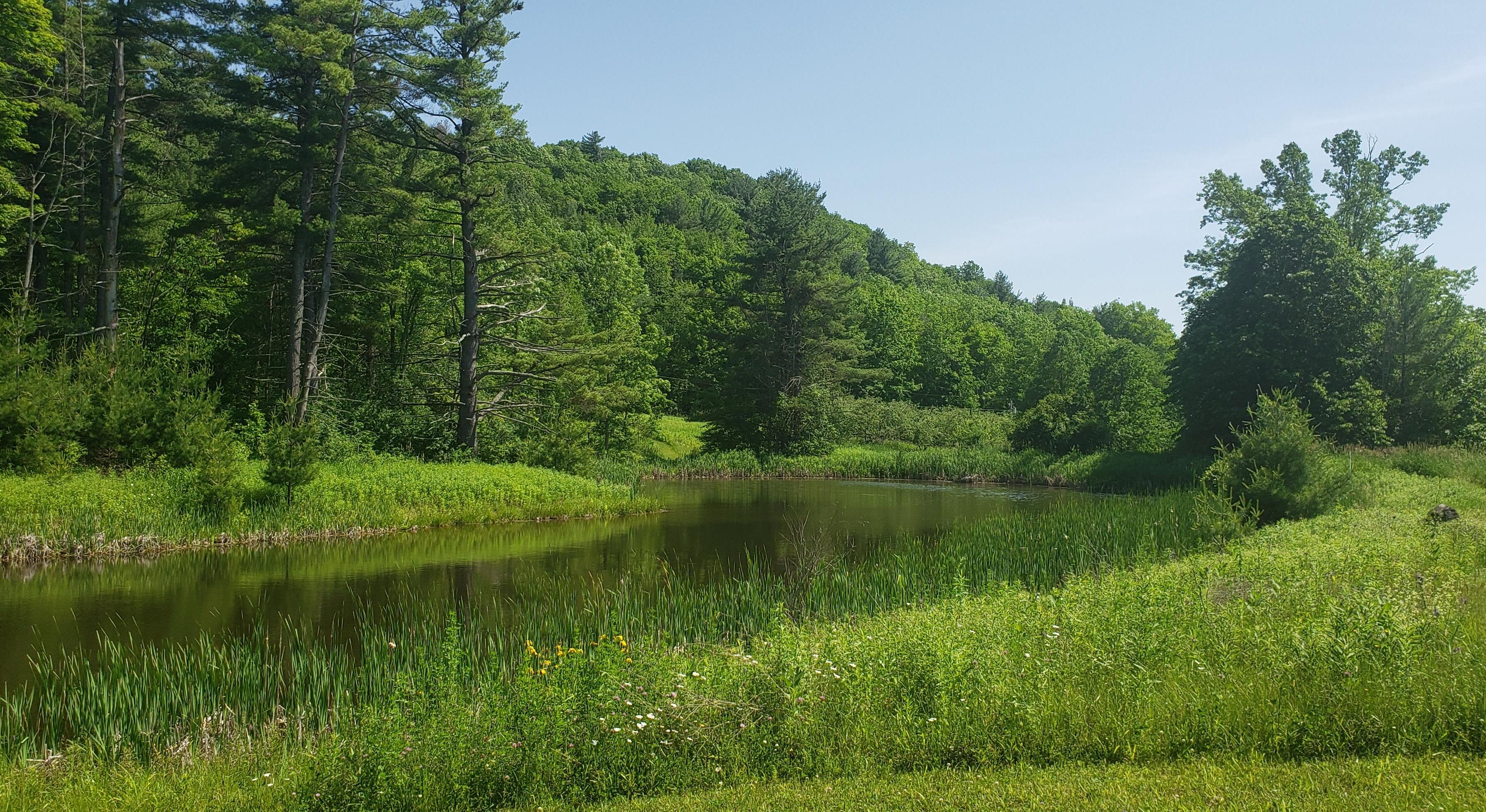 Ellen Dillenbeck and Joseph Timmins' Wedding Website