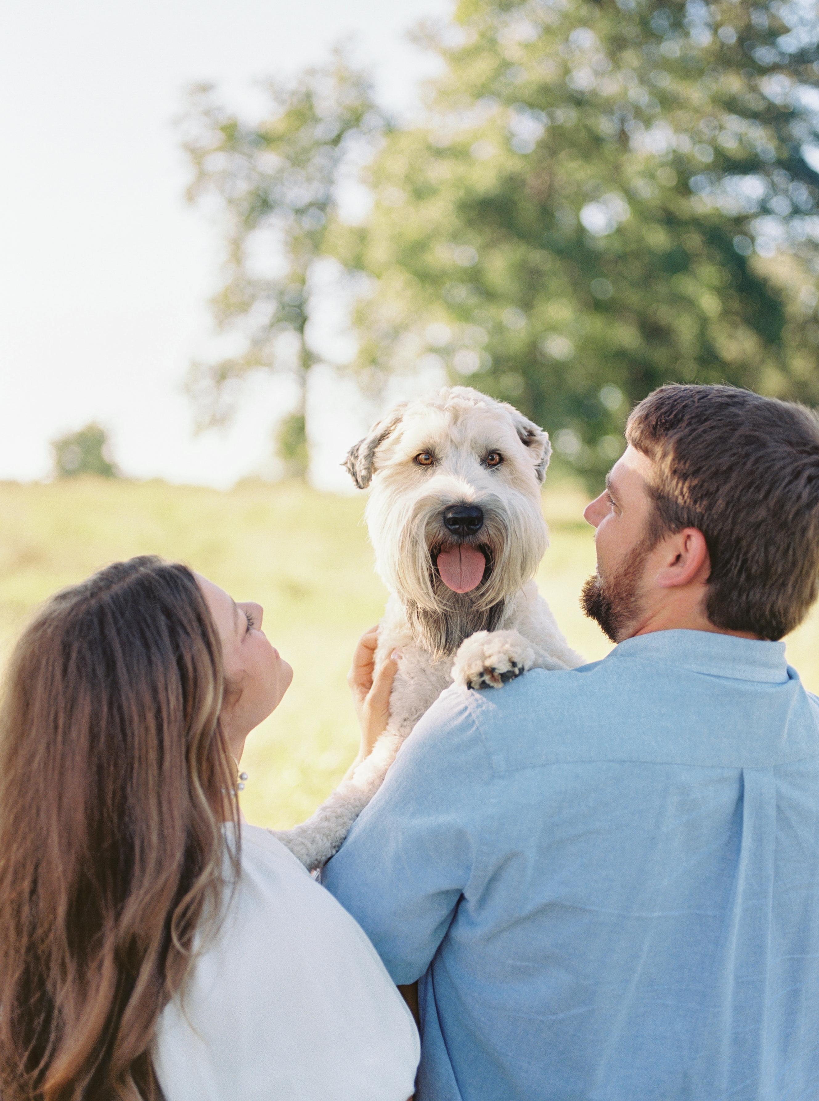 Laura Yoder and Colin Carlson's Wedding Website
