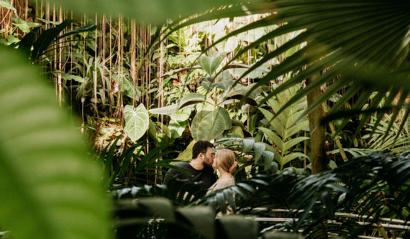 Kristina Baalerud and Apollo Liu's Wedding Website