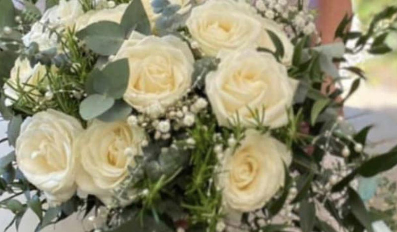 Emma Chase and Elijah Jacobson's Wedding Website