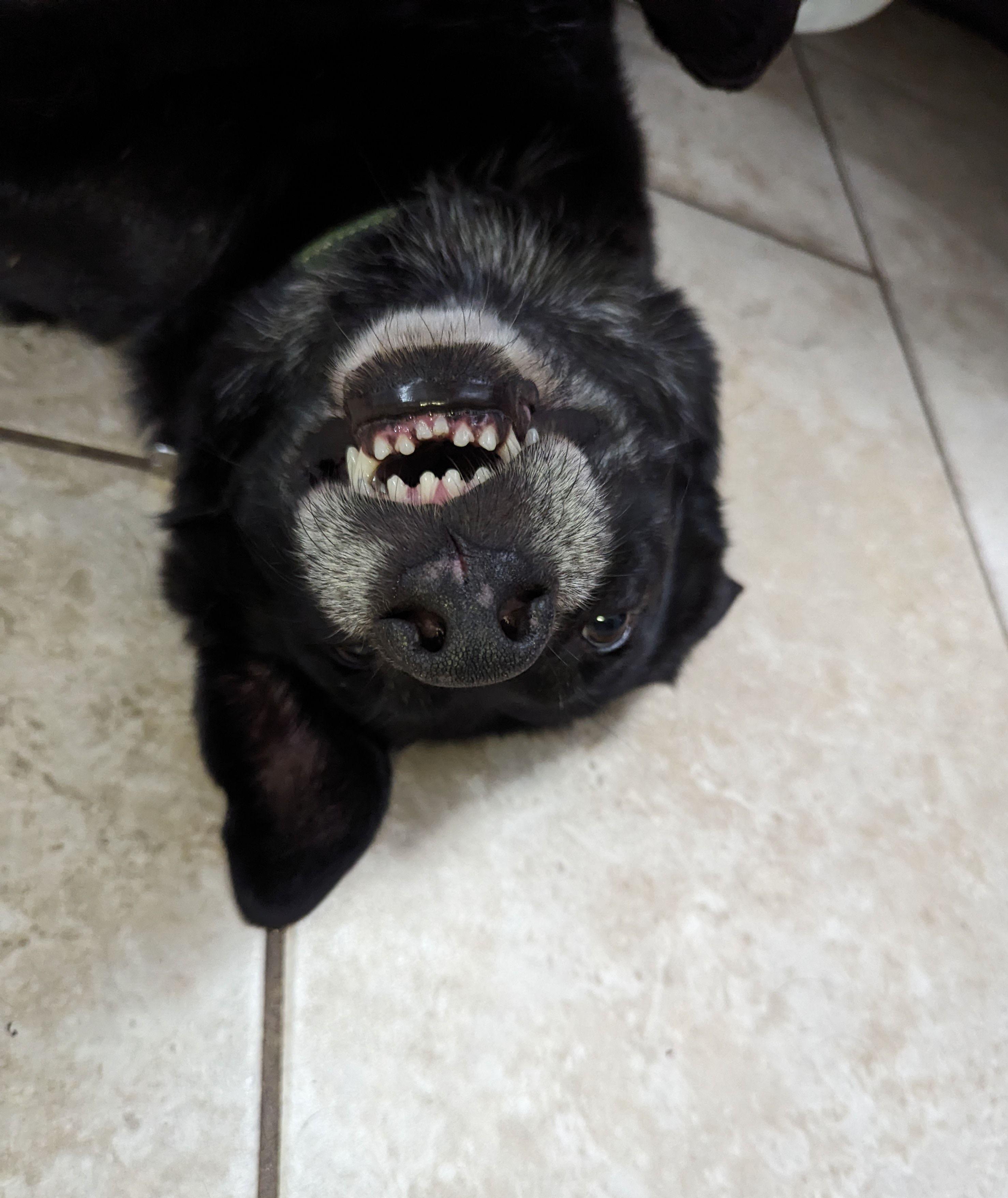 Pearl Leon and Khari Waithe-Alexander's Wedding Website