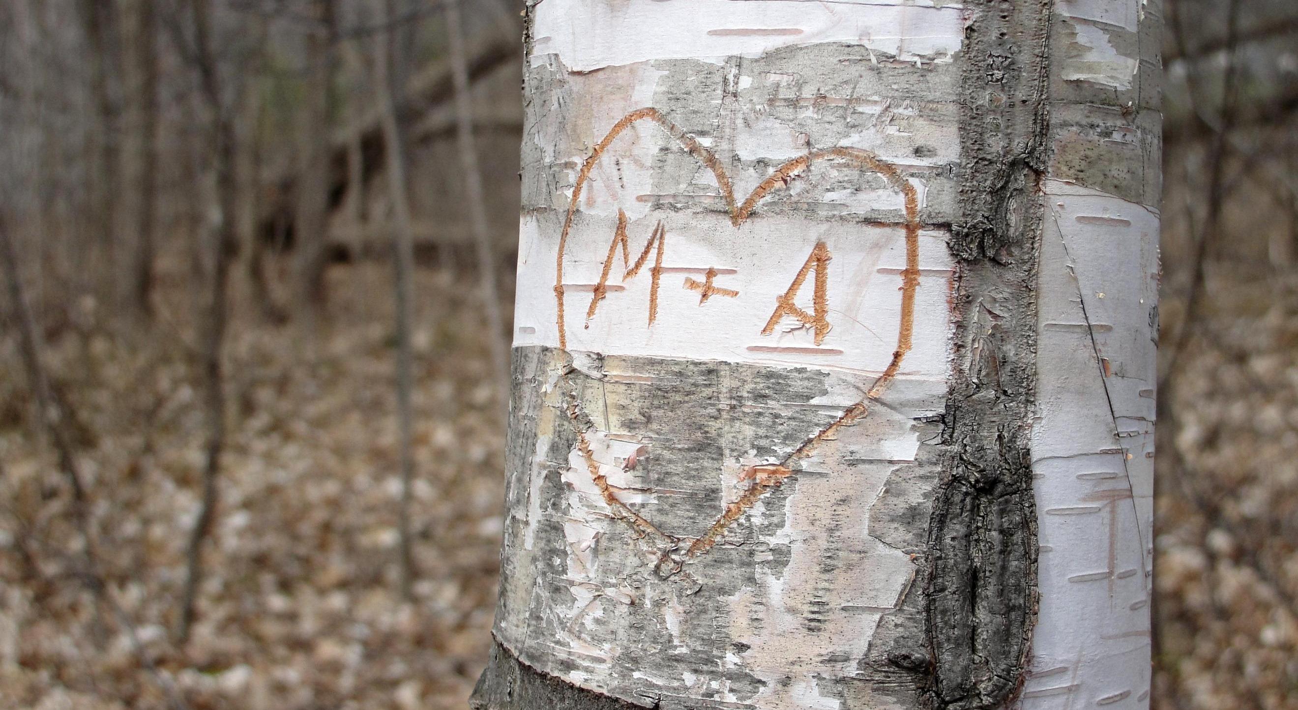 Melissa Baranski and Andrew Sevier's Wedding Website