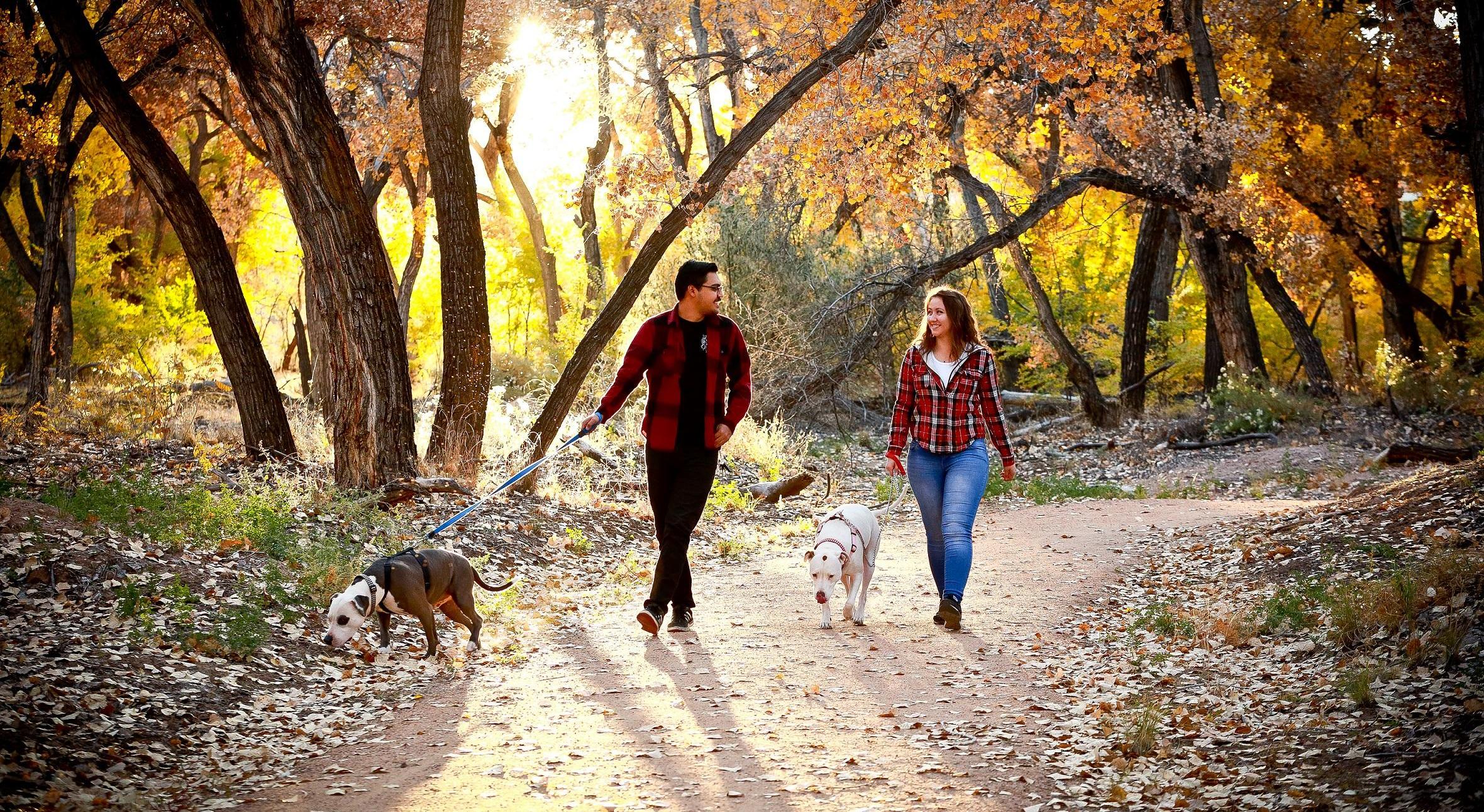 Alexandra Quijano and Alexander Baca's Wedding Website