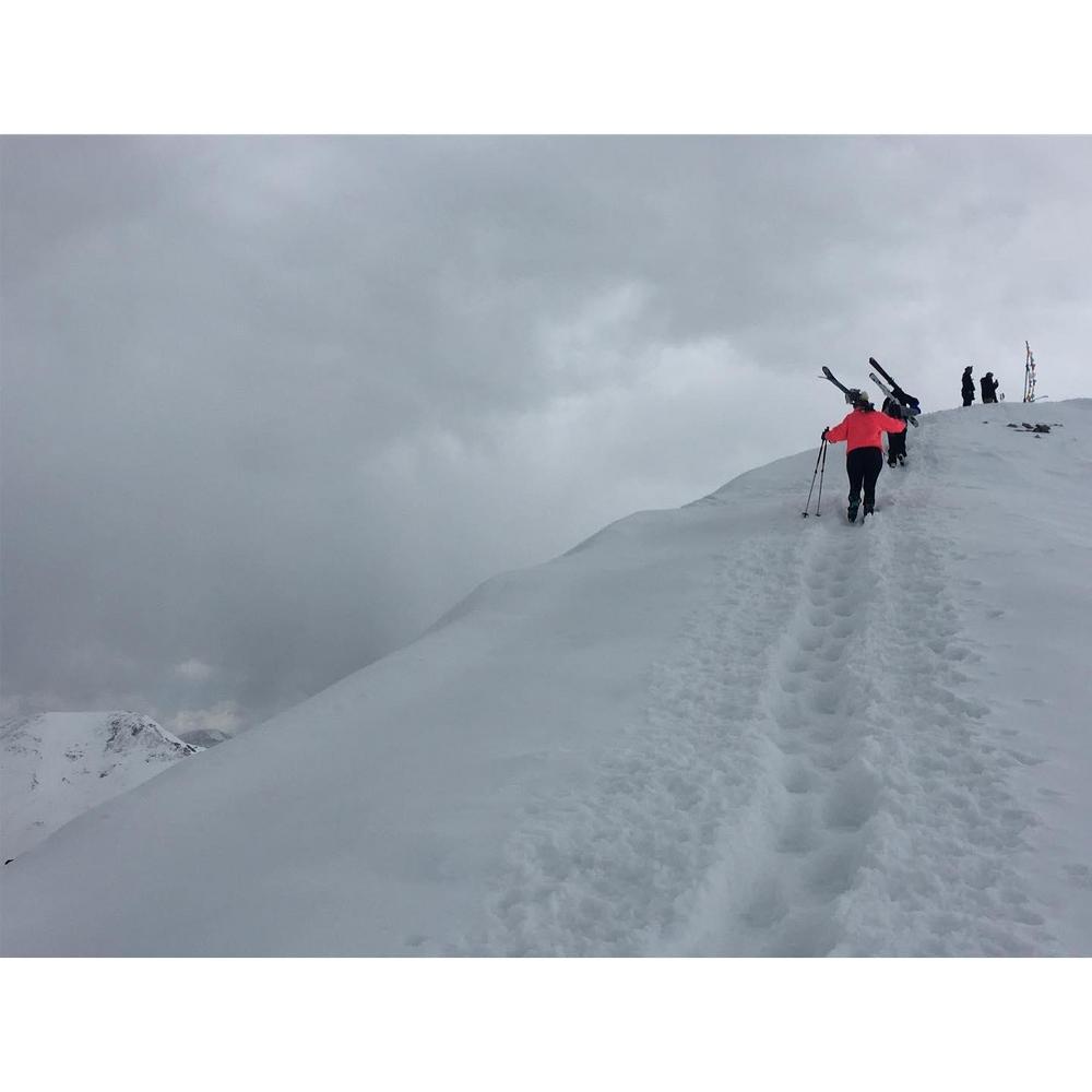 Stef Winzeler and Don Stefanovich's Wedding Website