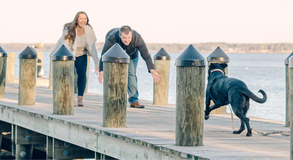 Allyson Cole and Robert Gall's Wedding Website