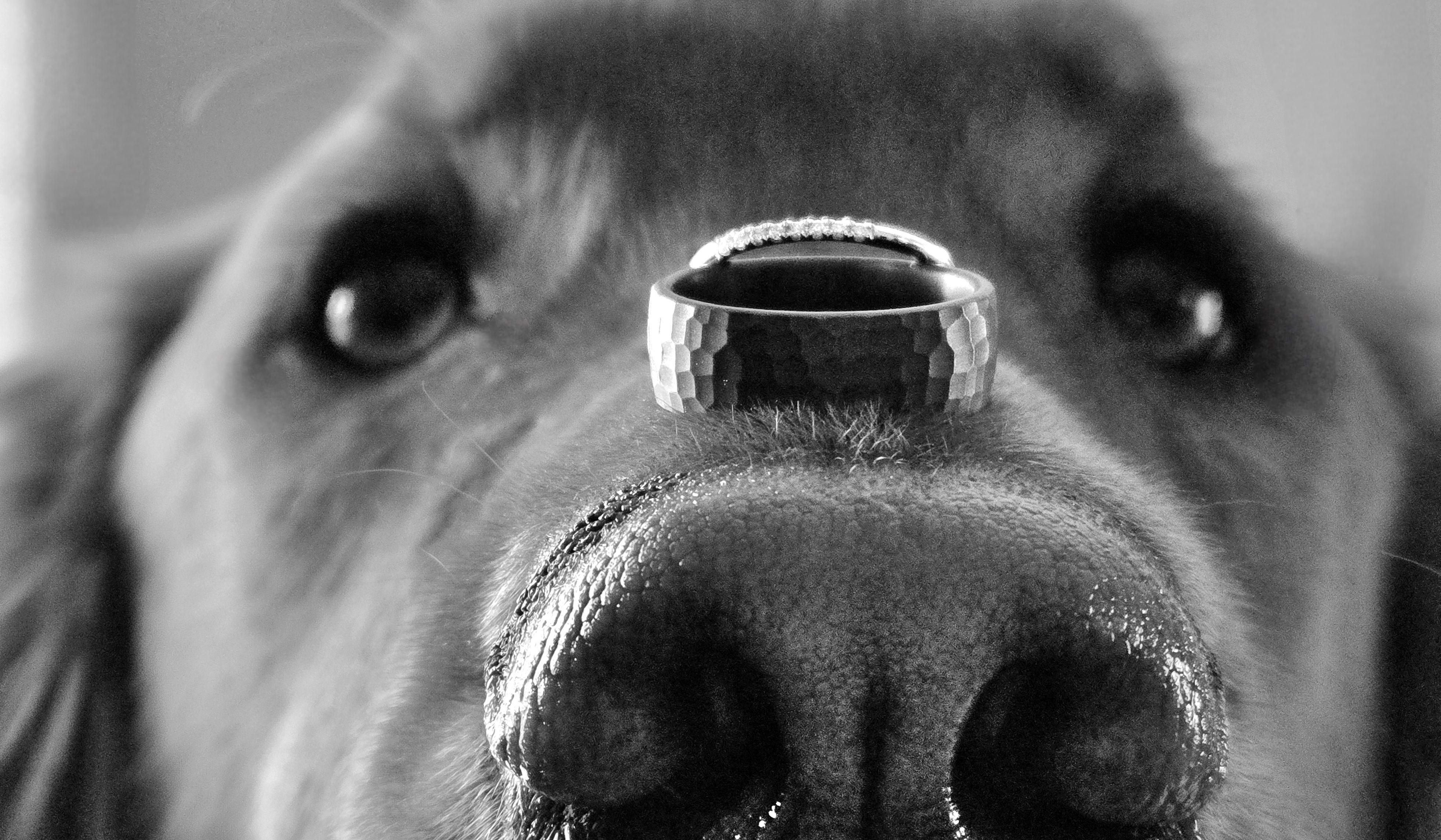 Michael Andrew Seaver and Tawny Belle Manning's Wedding Website