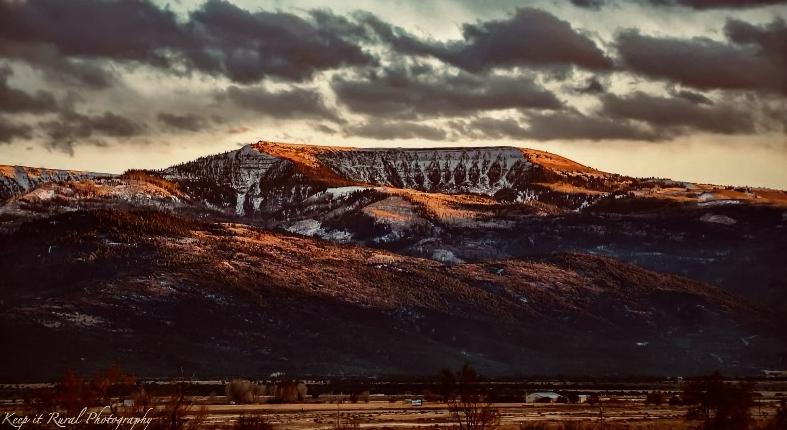 Wade Hiatt and Nikki Needham's Wedding Website