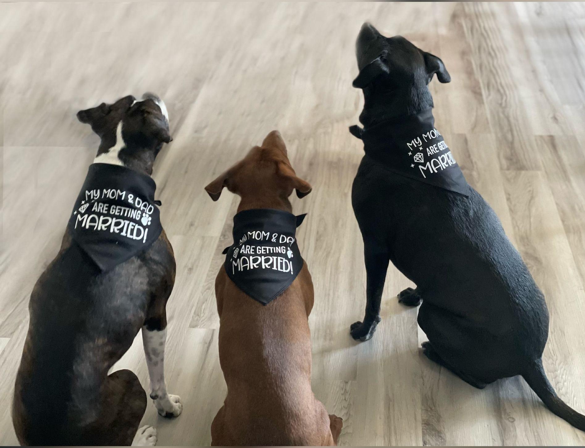 Jessica Berk and Travis Chalmers' Wedding Website