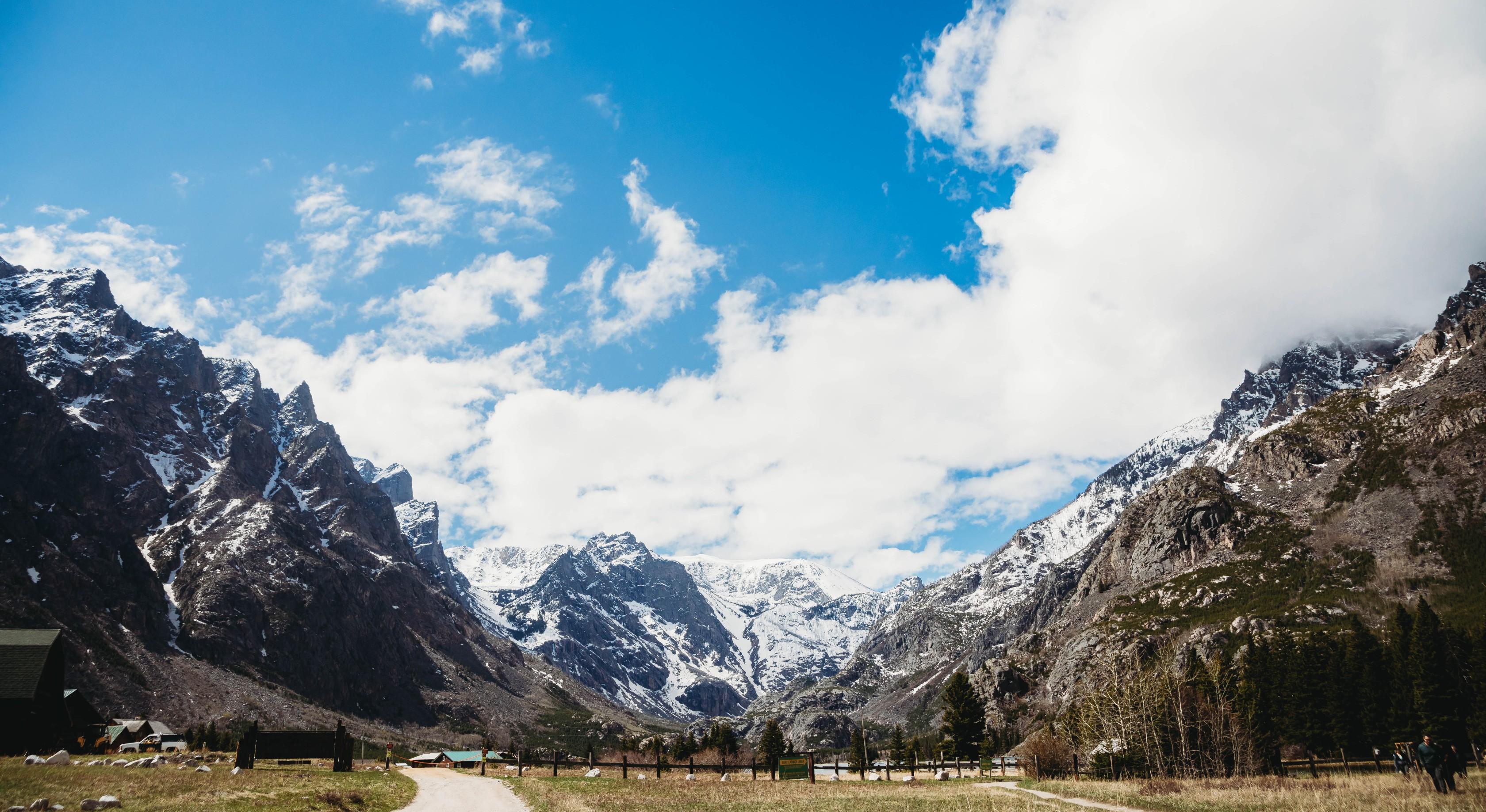 Ruth Lowery and Trevor Wood's Wedding Website